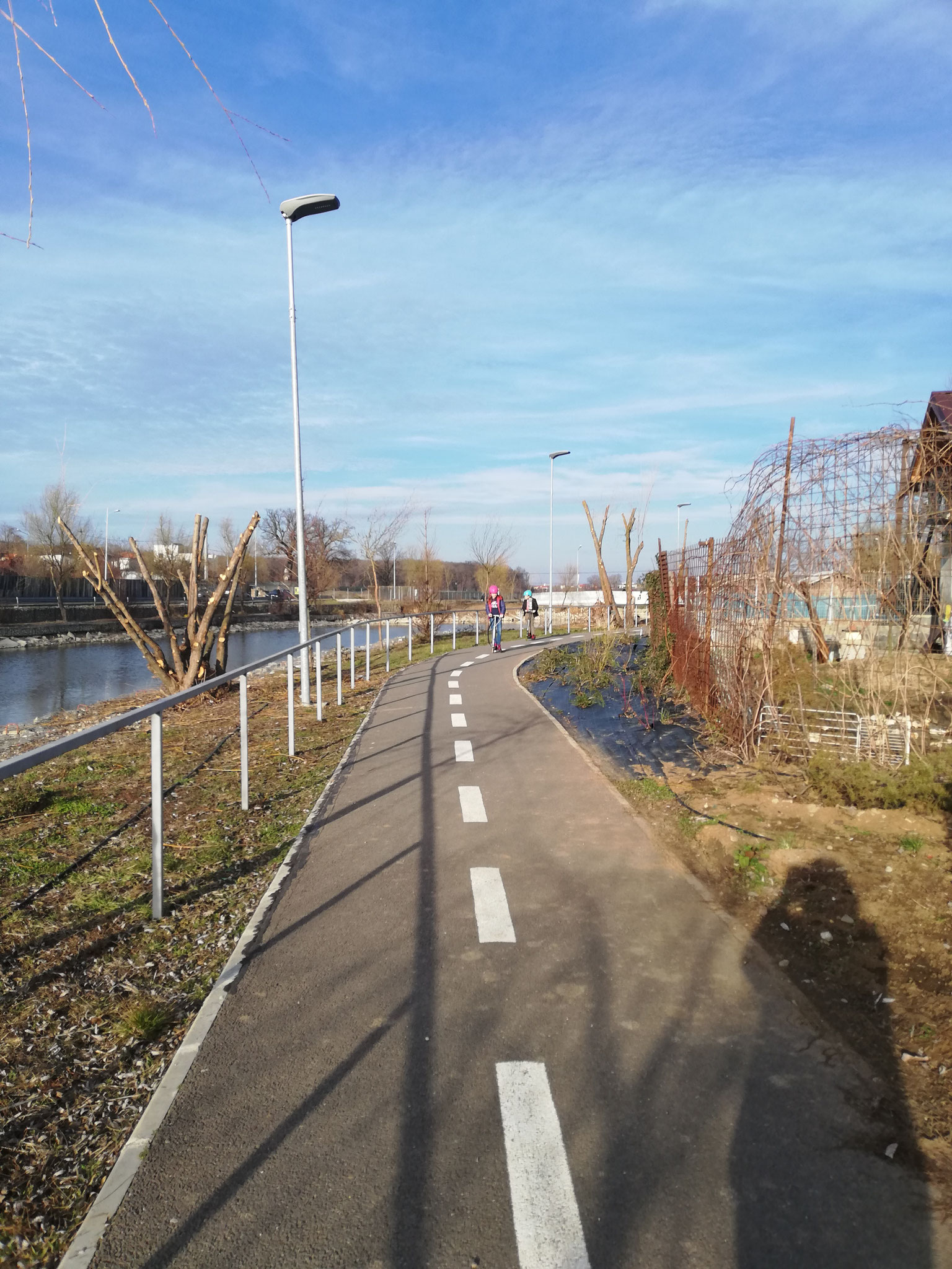 Parcul dendrologic si padurea Chitila - costacheinjurullumii