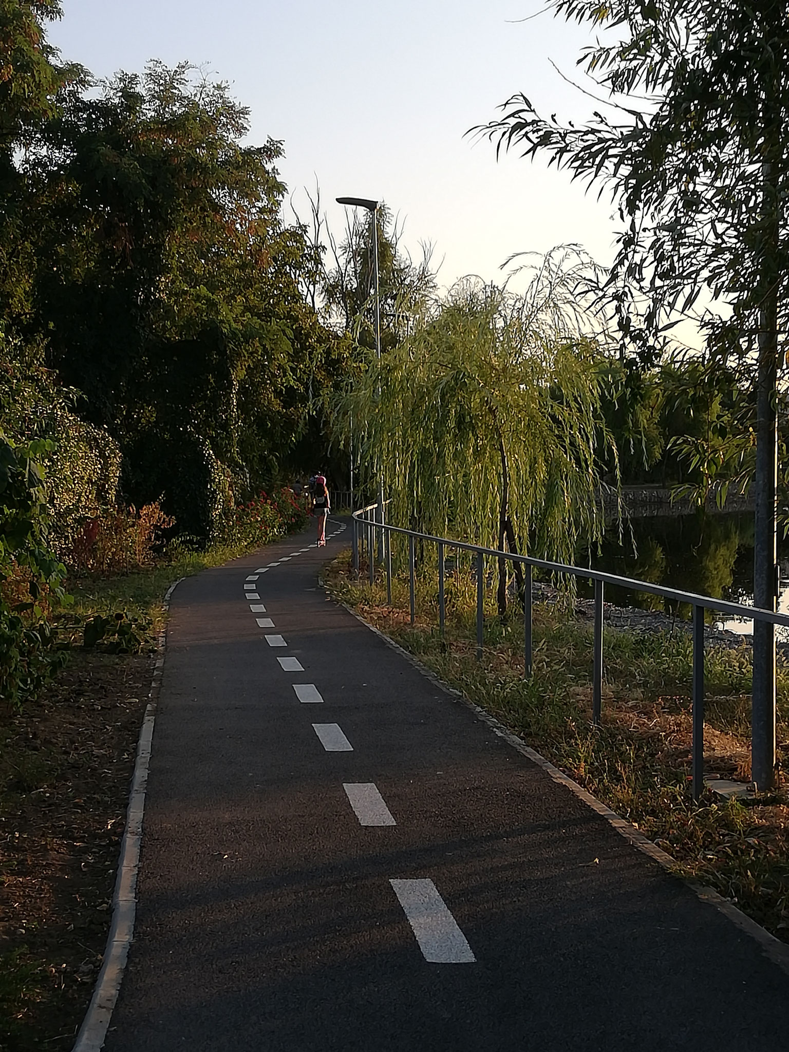 Parcul dendrologic si padurea Chitila - costacheinjurullumii