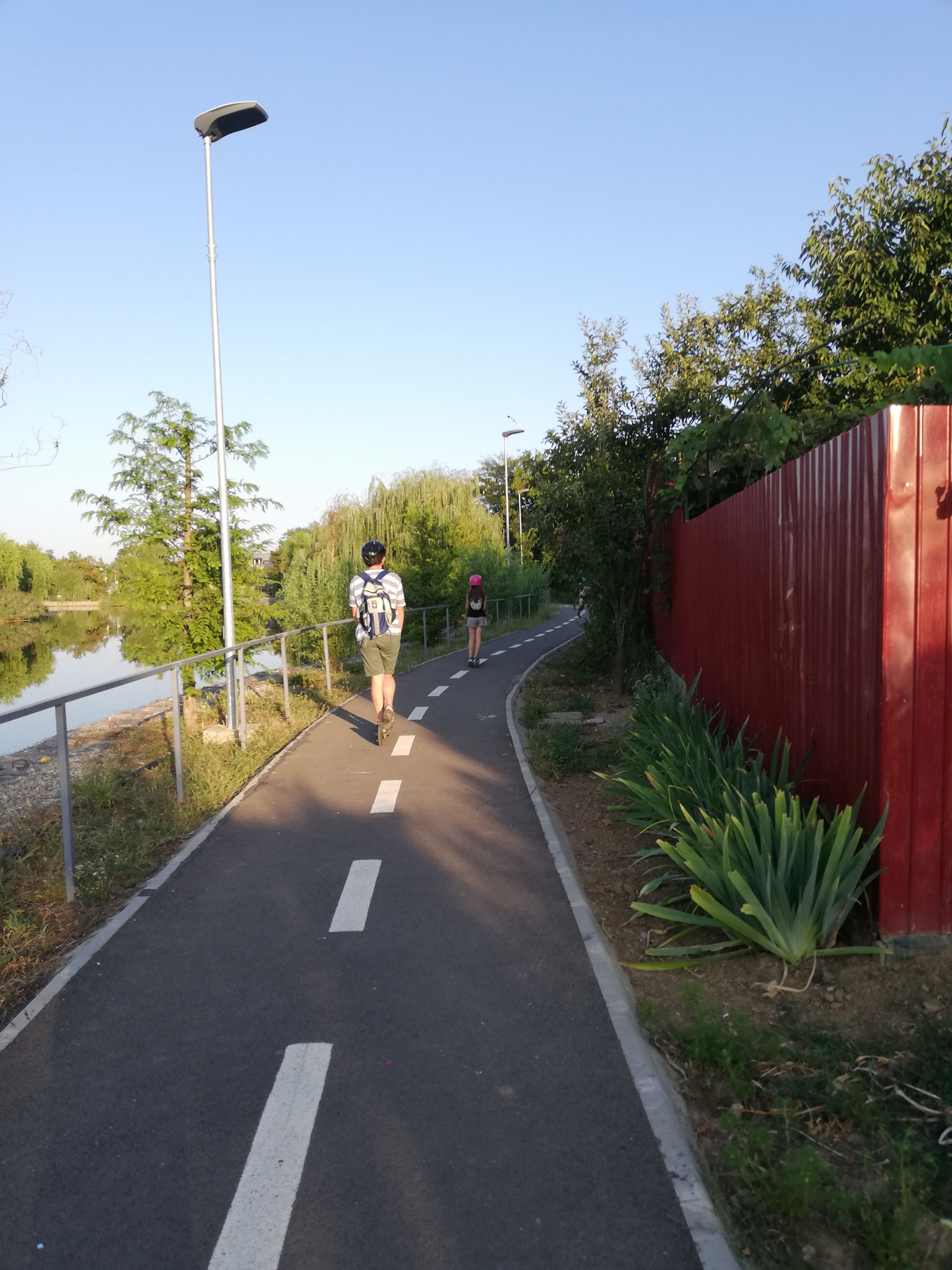 Parcul dendrologic si padurea Chitila - costacheinjurullumii