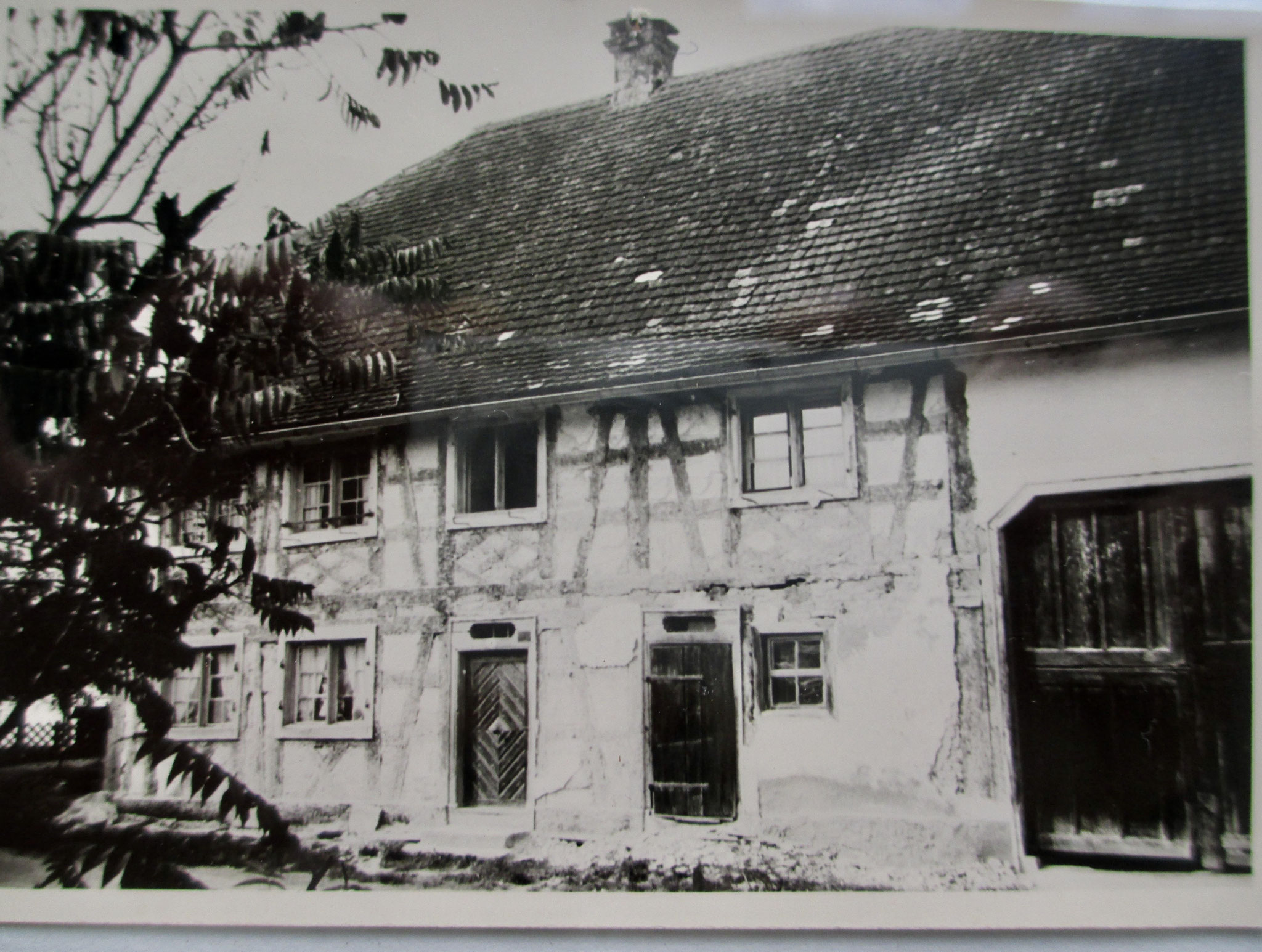 60 Jahre Landhotel Fischerhaus, Seefelden am Bodensee - fischerhaus ...