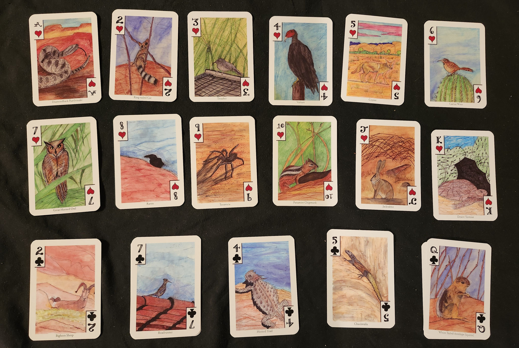 Joshua Tree; Plants, Animals and Places - Illustrated Playing Cards
