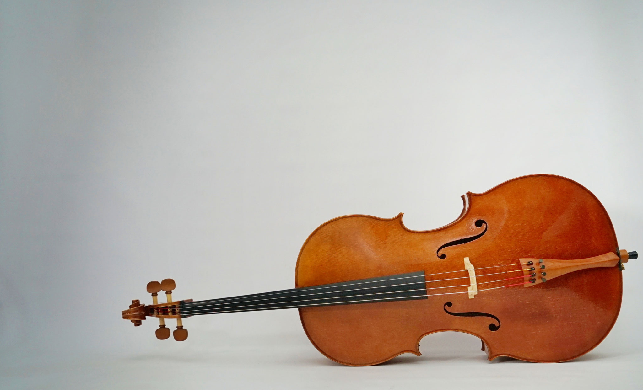 LES VIOLONCELLES - Benjamin Rémond - luthier