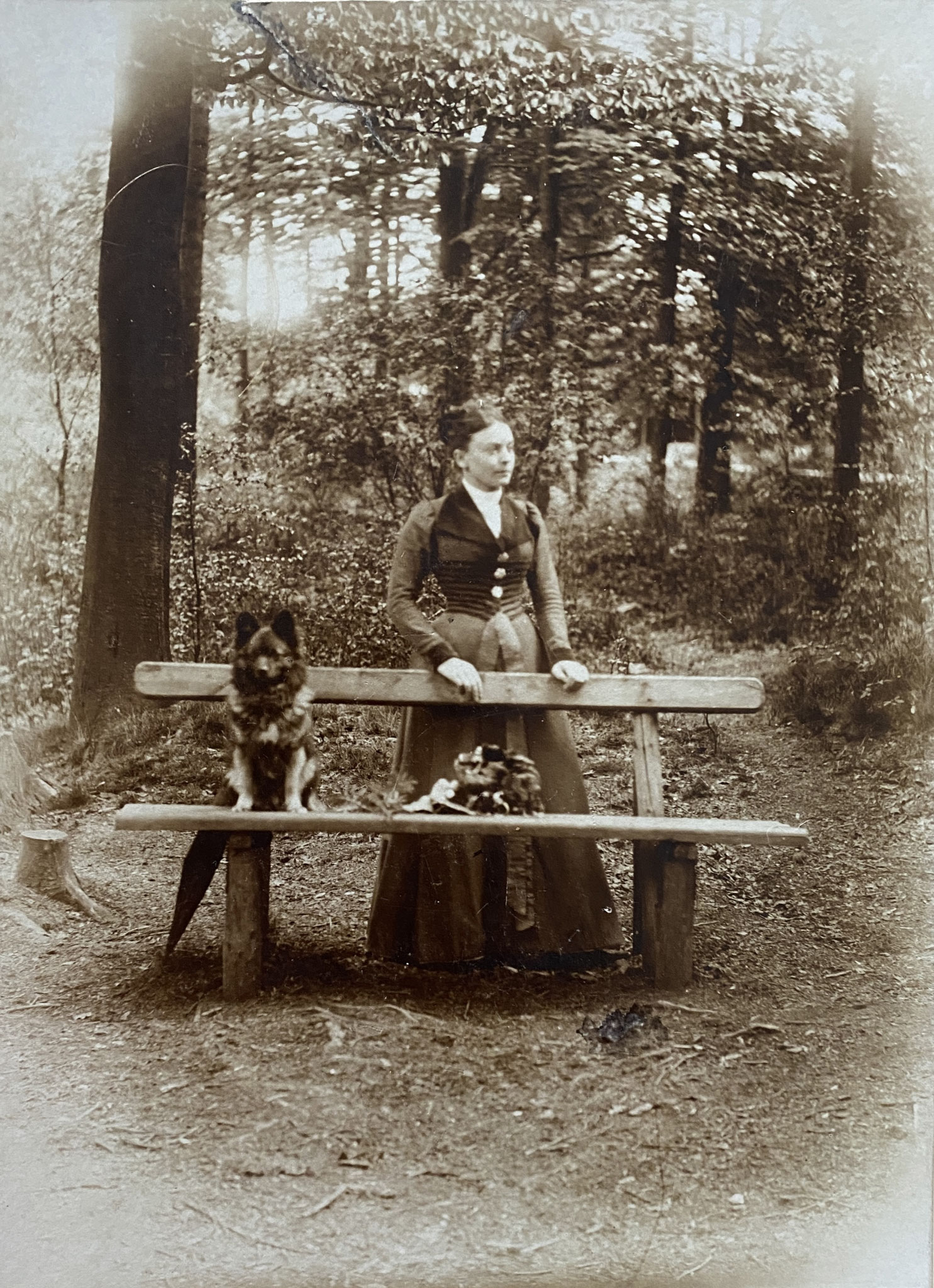 German Spitz - old photos - Preußenspitz