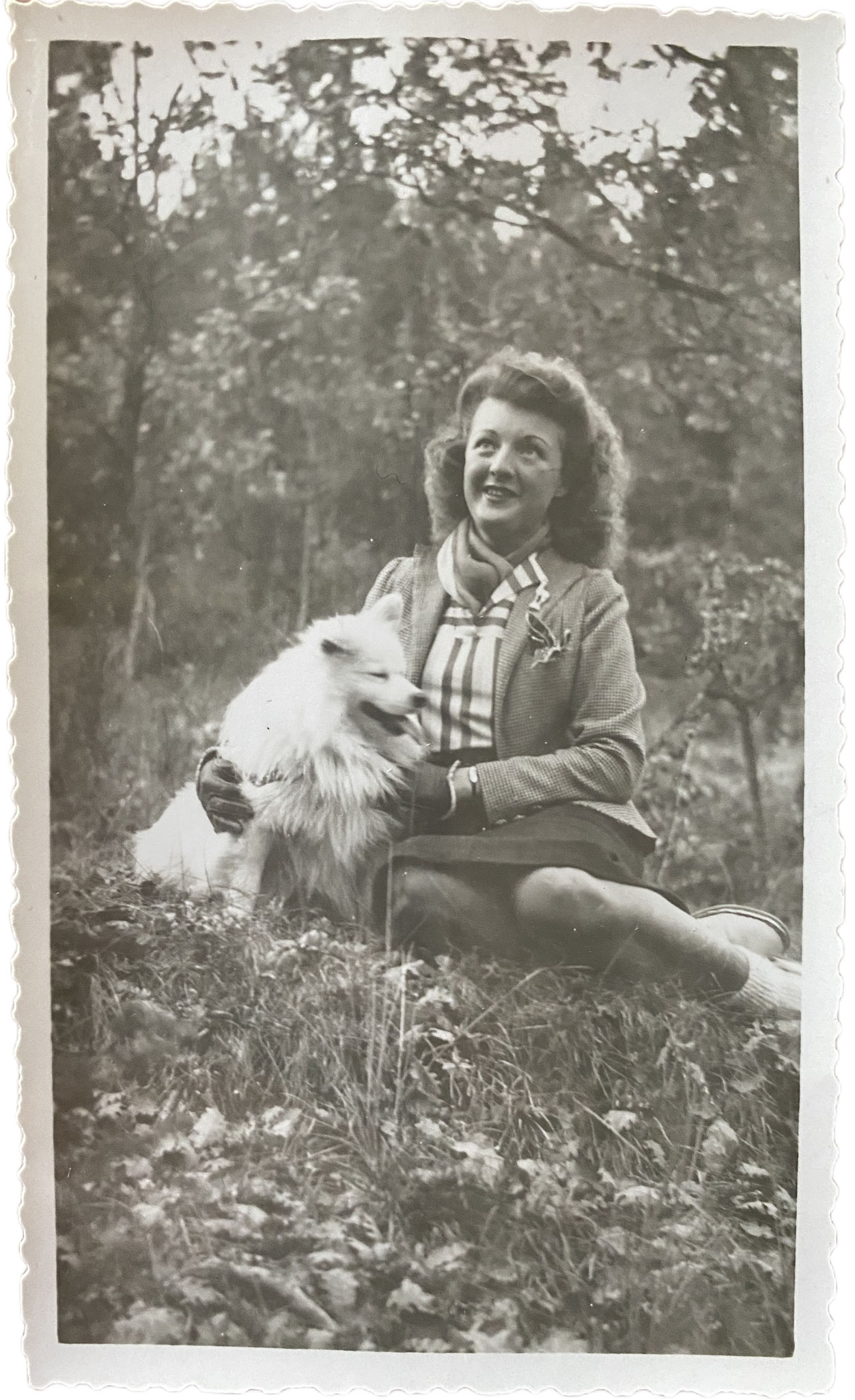 German Spitz - old photos - Preußenspitz