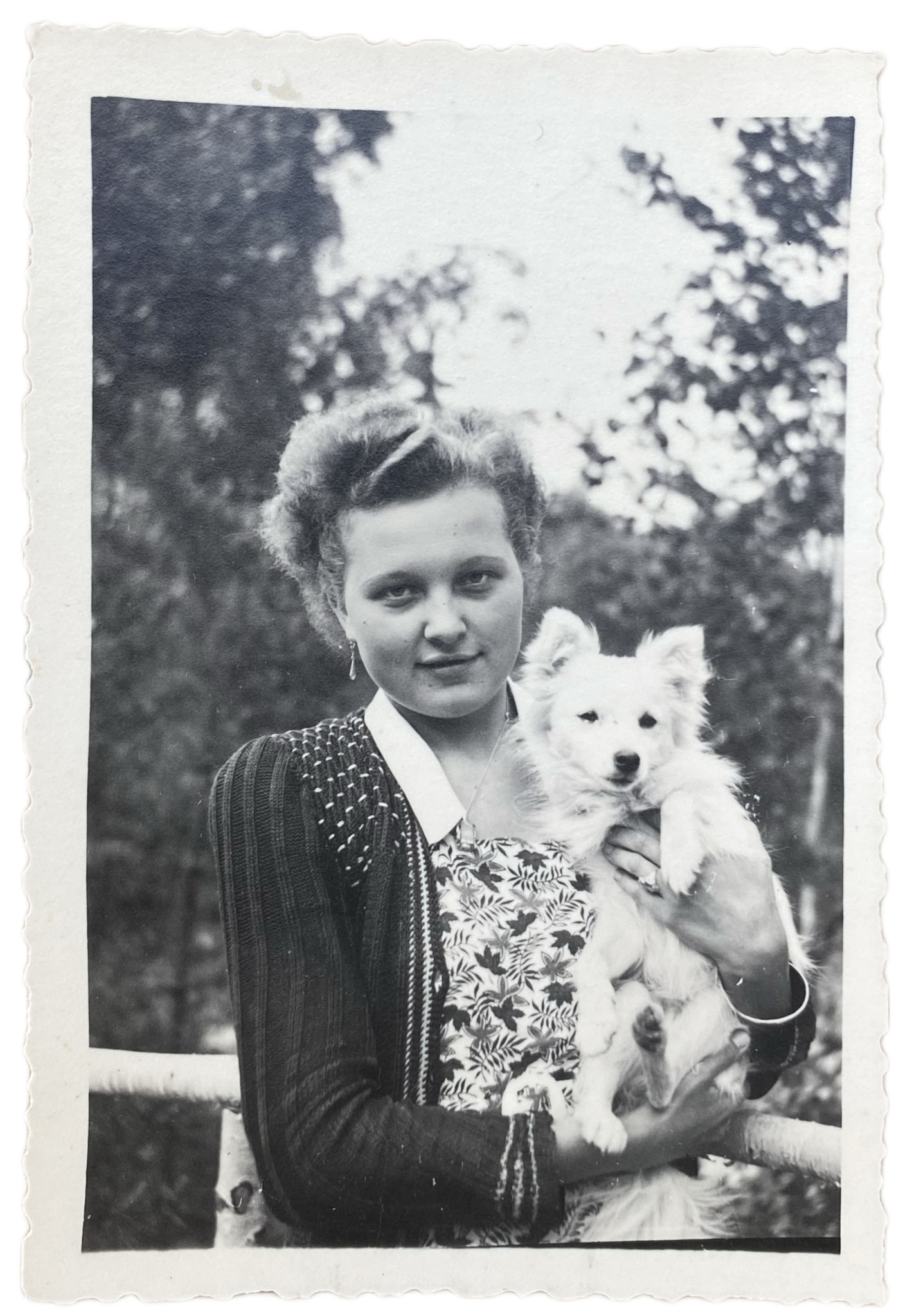 German Spitz - old photos - Preußenspitz