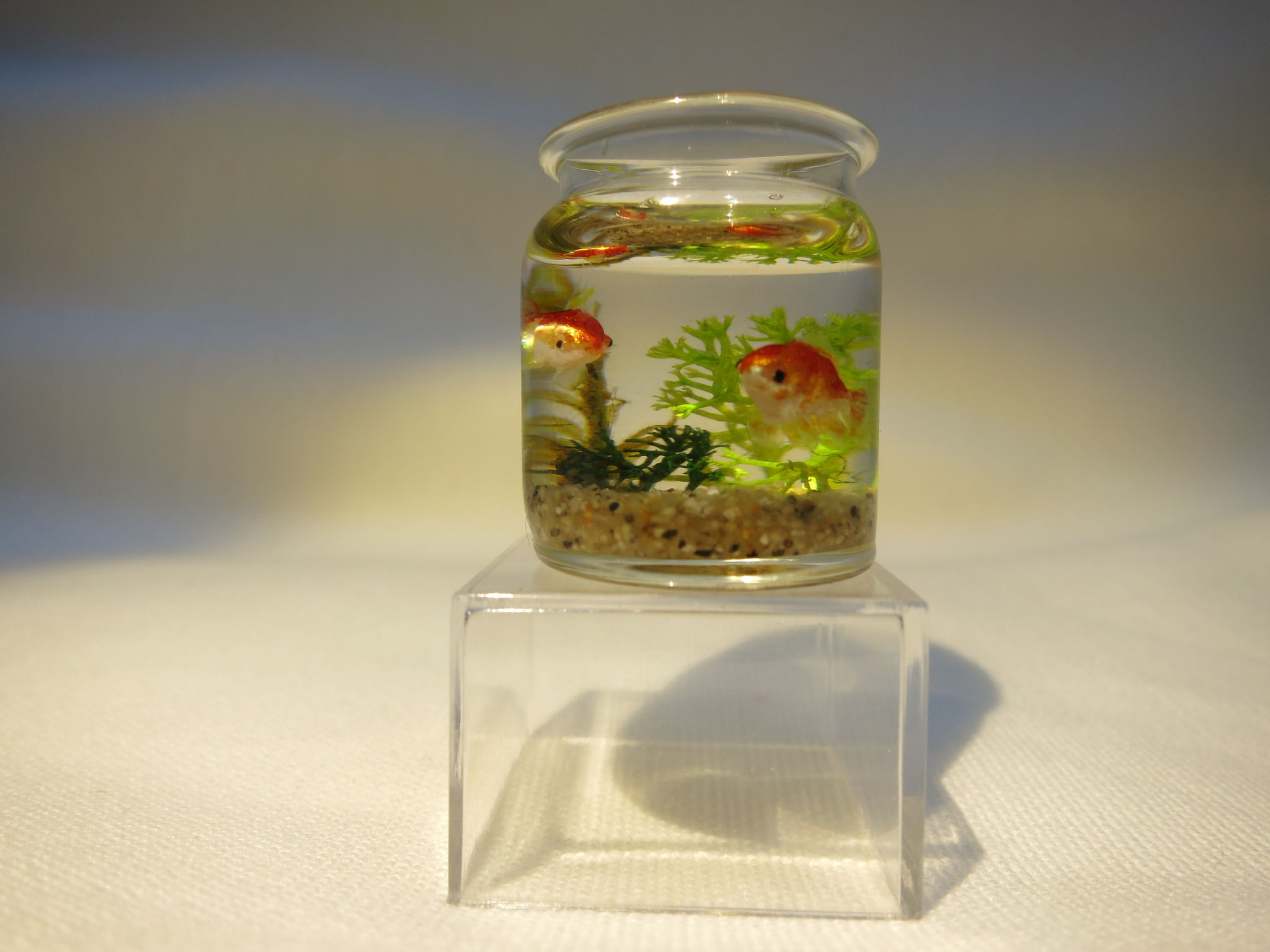 Miniature Aquariums - Fátima Doña's Art