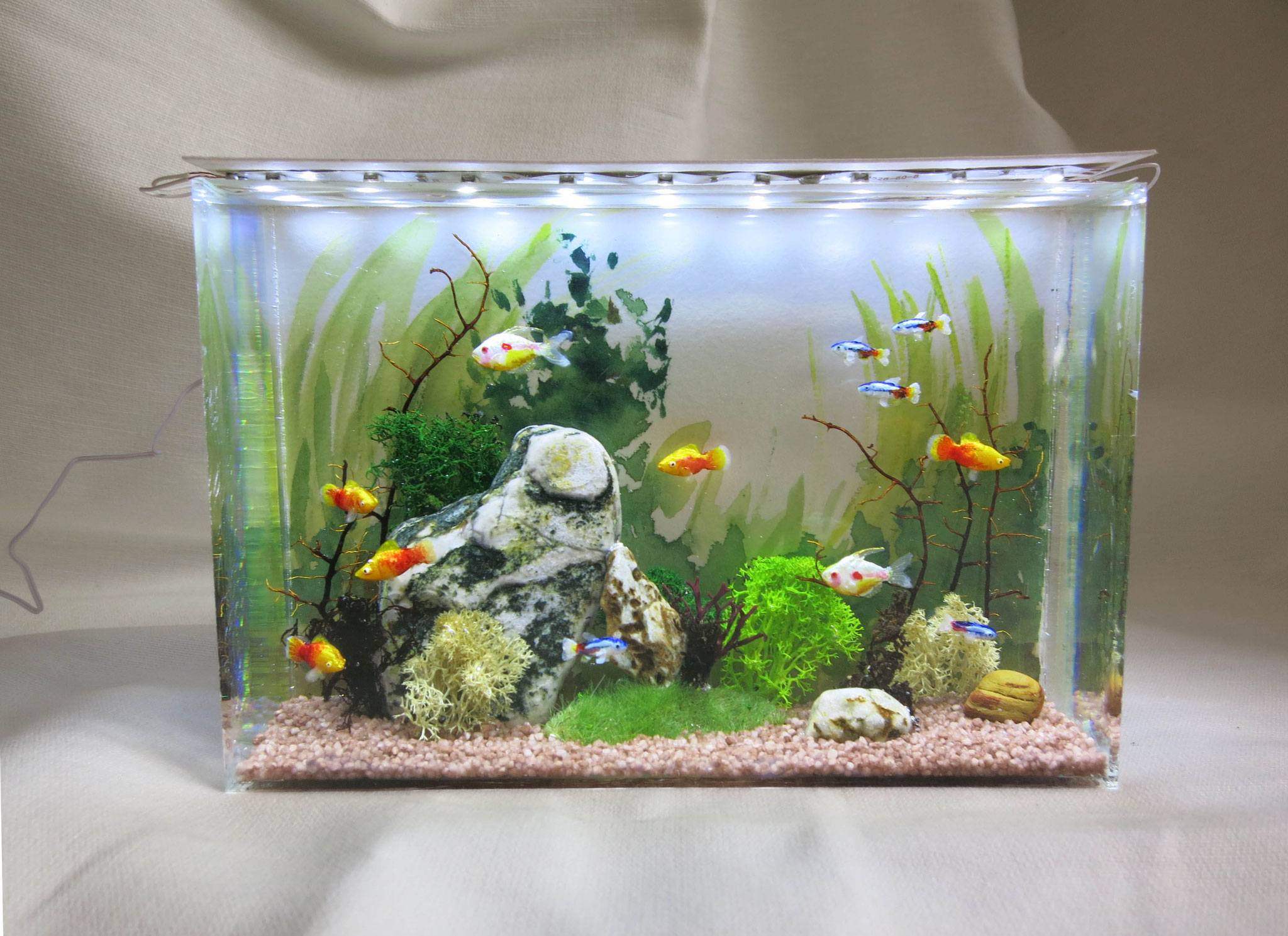 Miniature Aquariums - Fátima Doña's Art