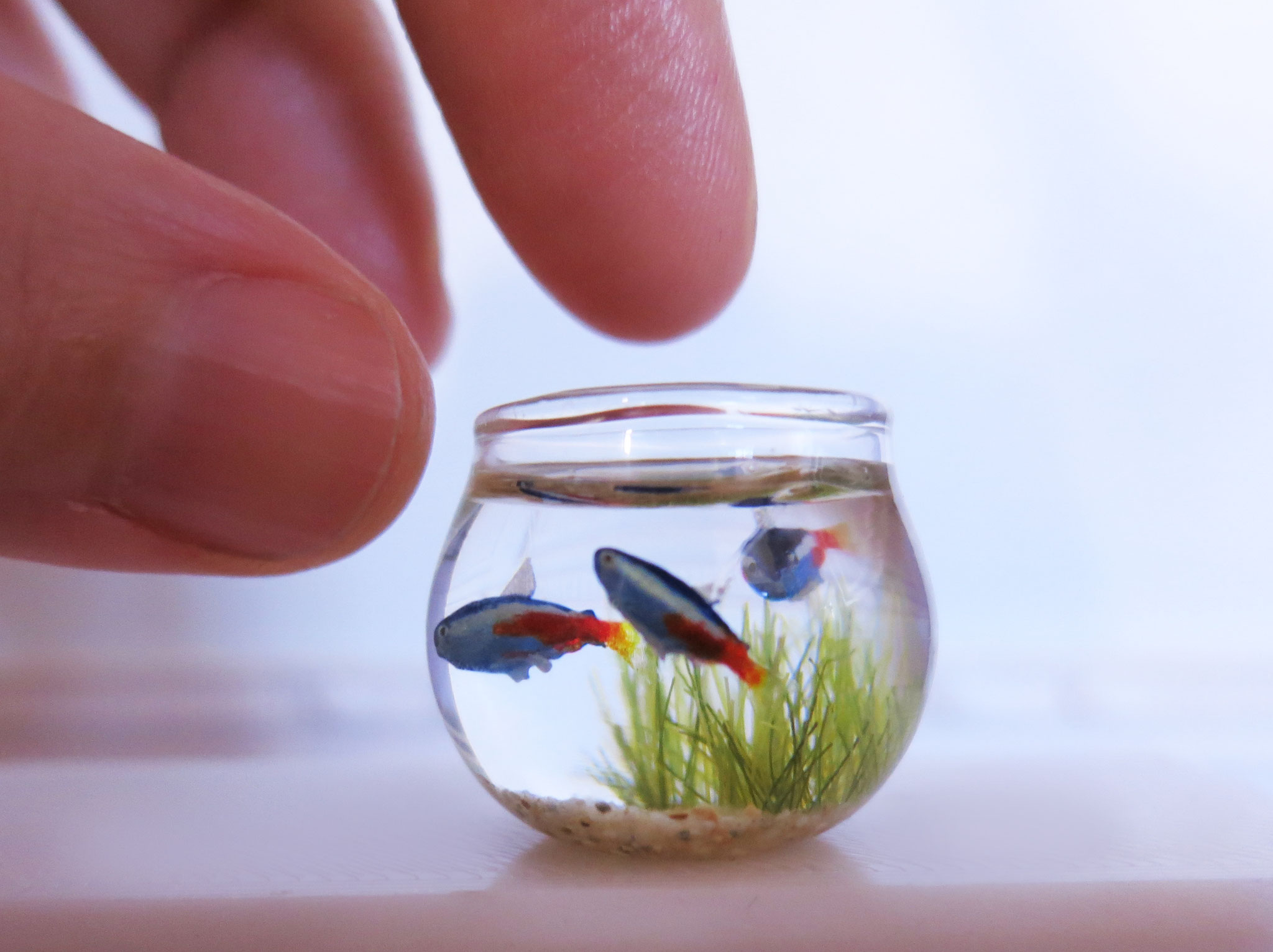 Miniature Aquariums - Fátima Doña's Art