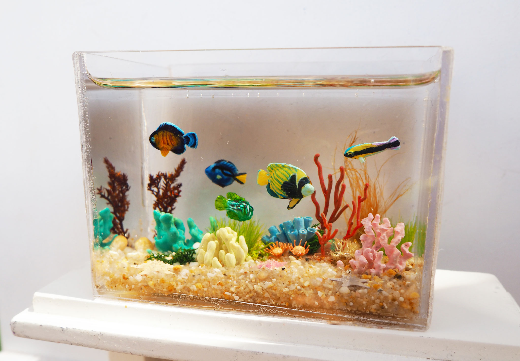 Miniature Aquariums - Fátima Doña's Art