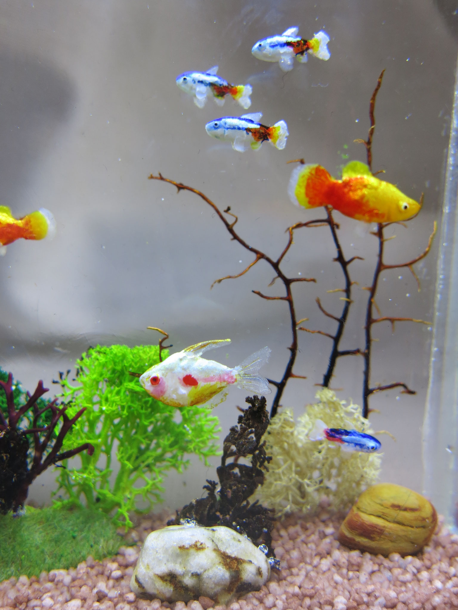 Miniature Aquariums - Fátima Doña's Art