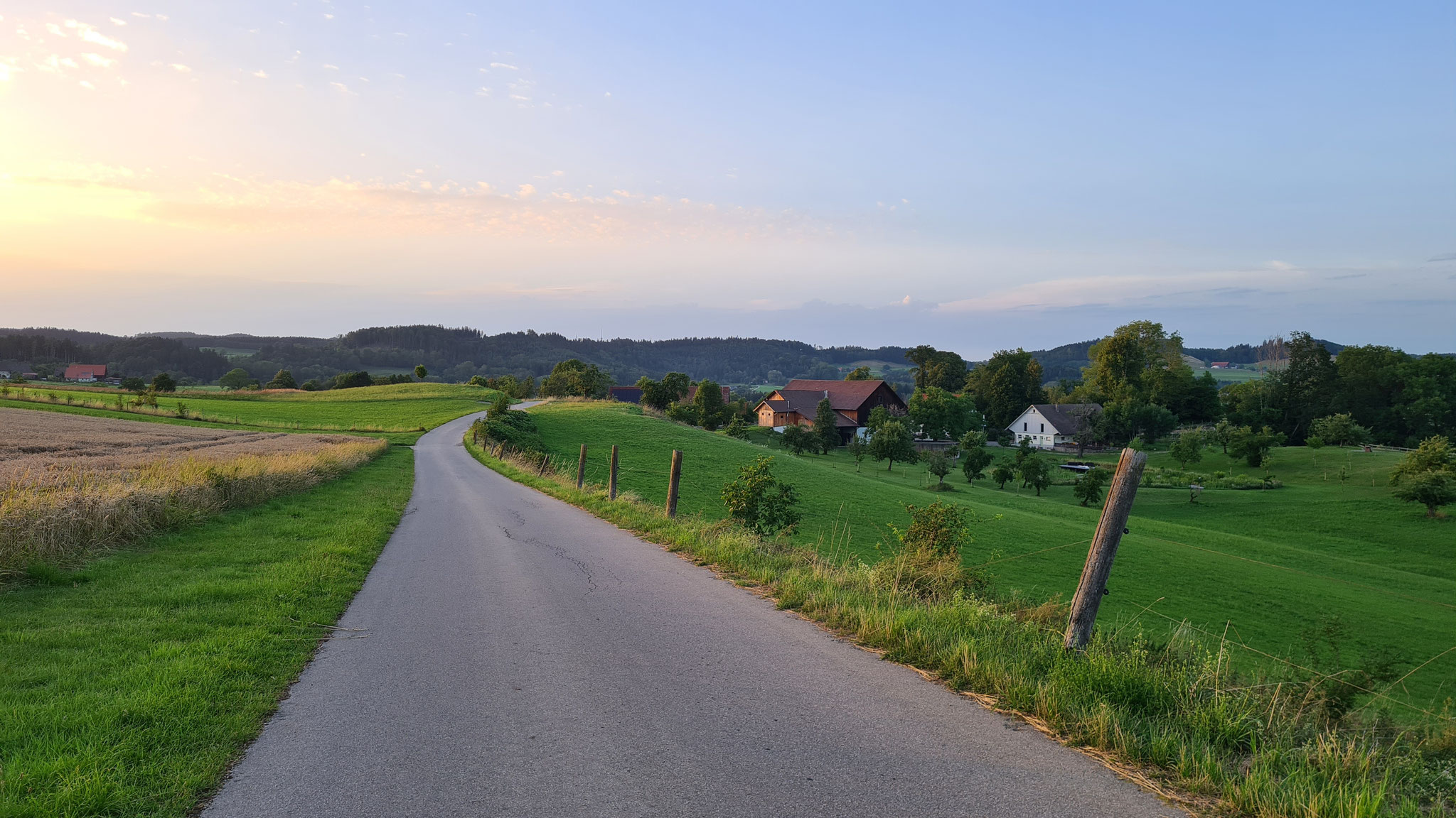 Sommer in Moosing... - Ferienwohnung Amtzell, Neue Ferienwohnung ...