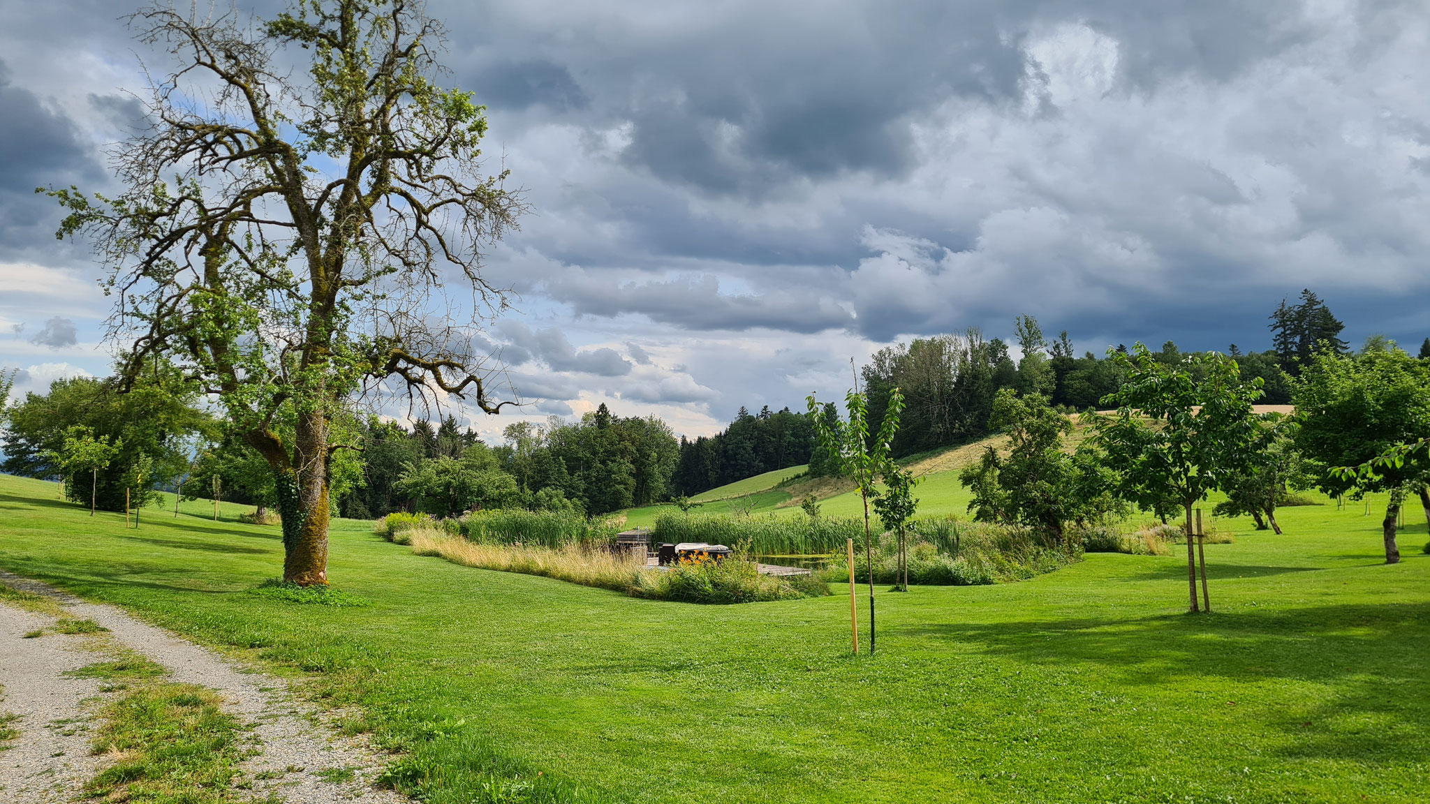 Sommer in Moosing... - Ferienwohnung Amtzell, Neue Ferienwohnung ...