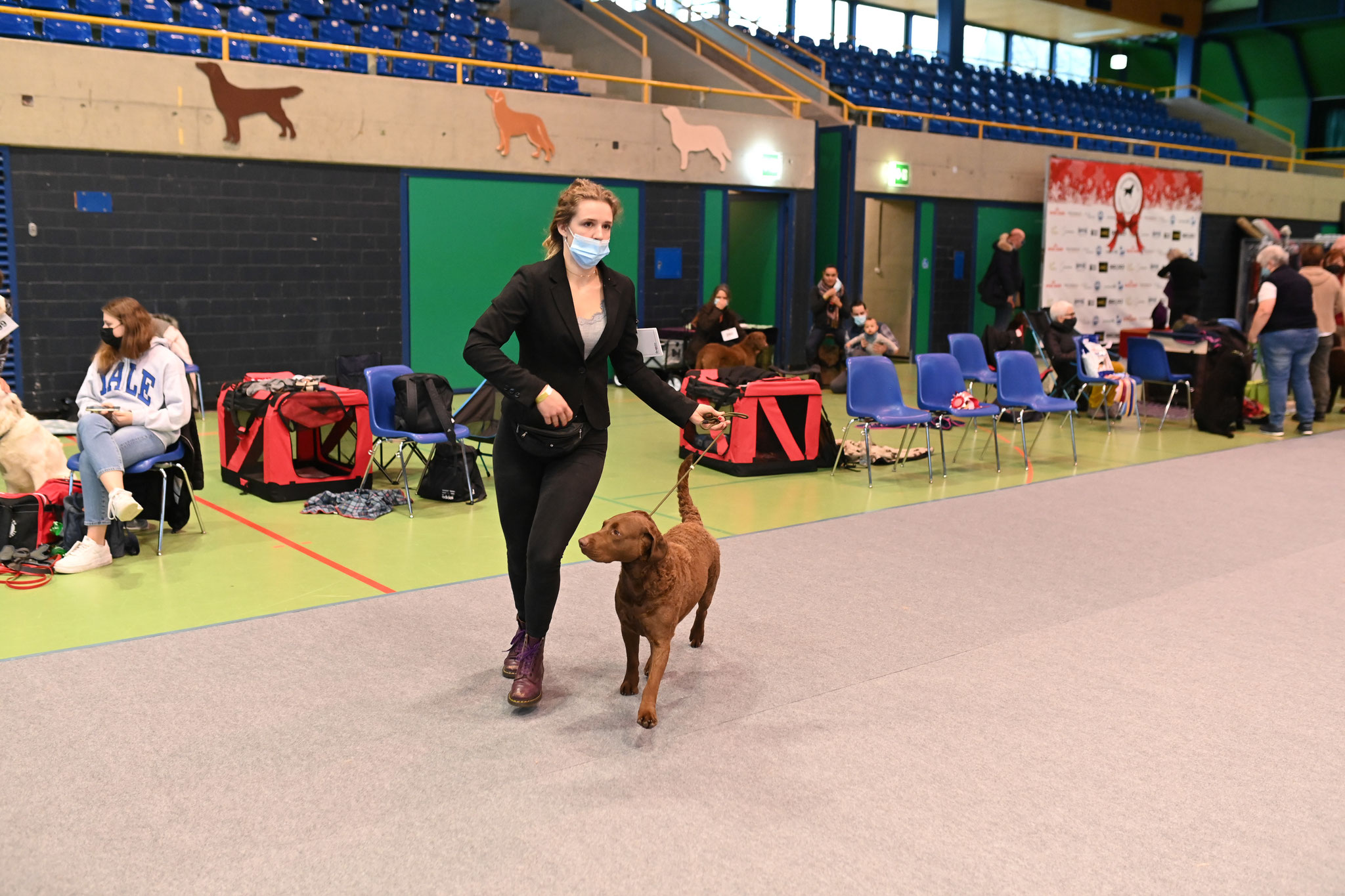 Galerie 2021 - BBs Chesapeake Breeding