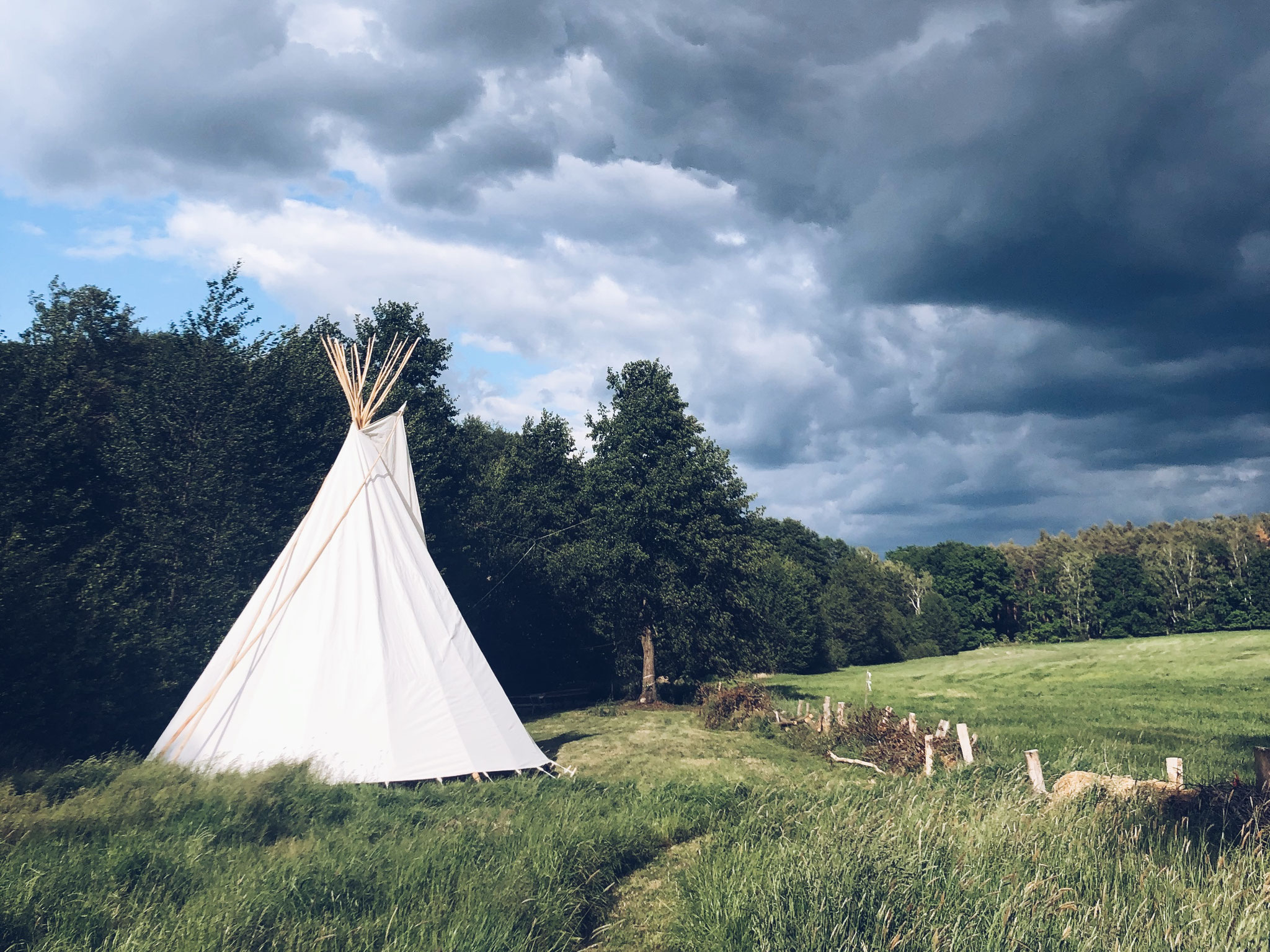 Ruf des Waldes - die universelle Sprache der Natur - Wildnispädagogik ...