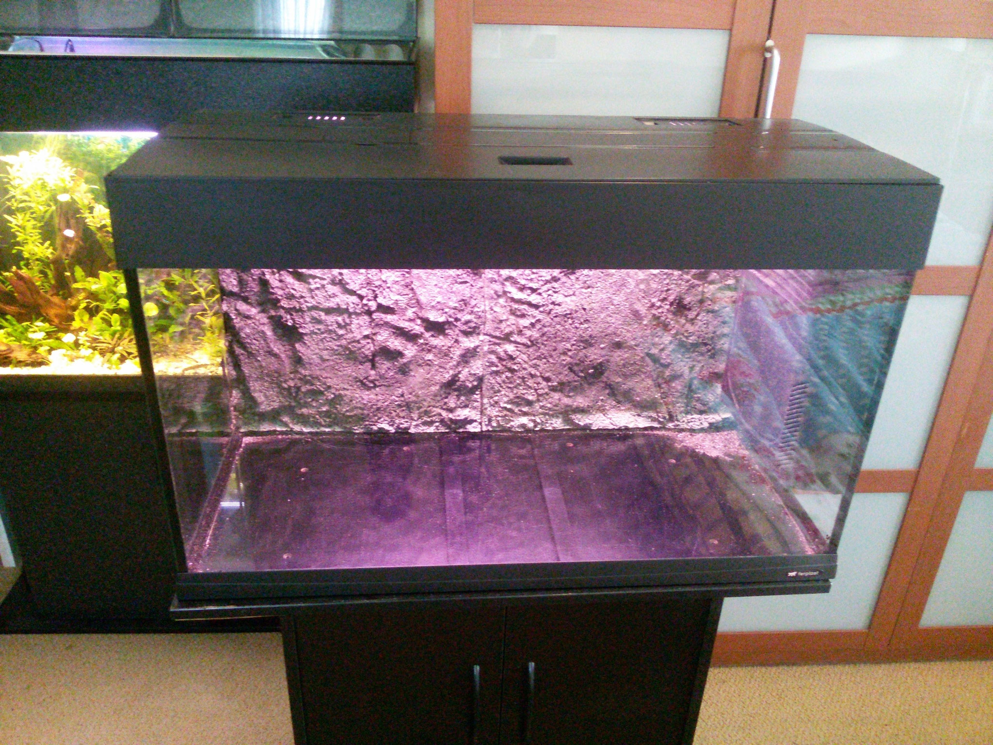 80 cm aquaria! - Aquariagrootegast