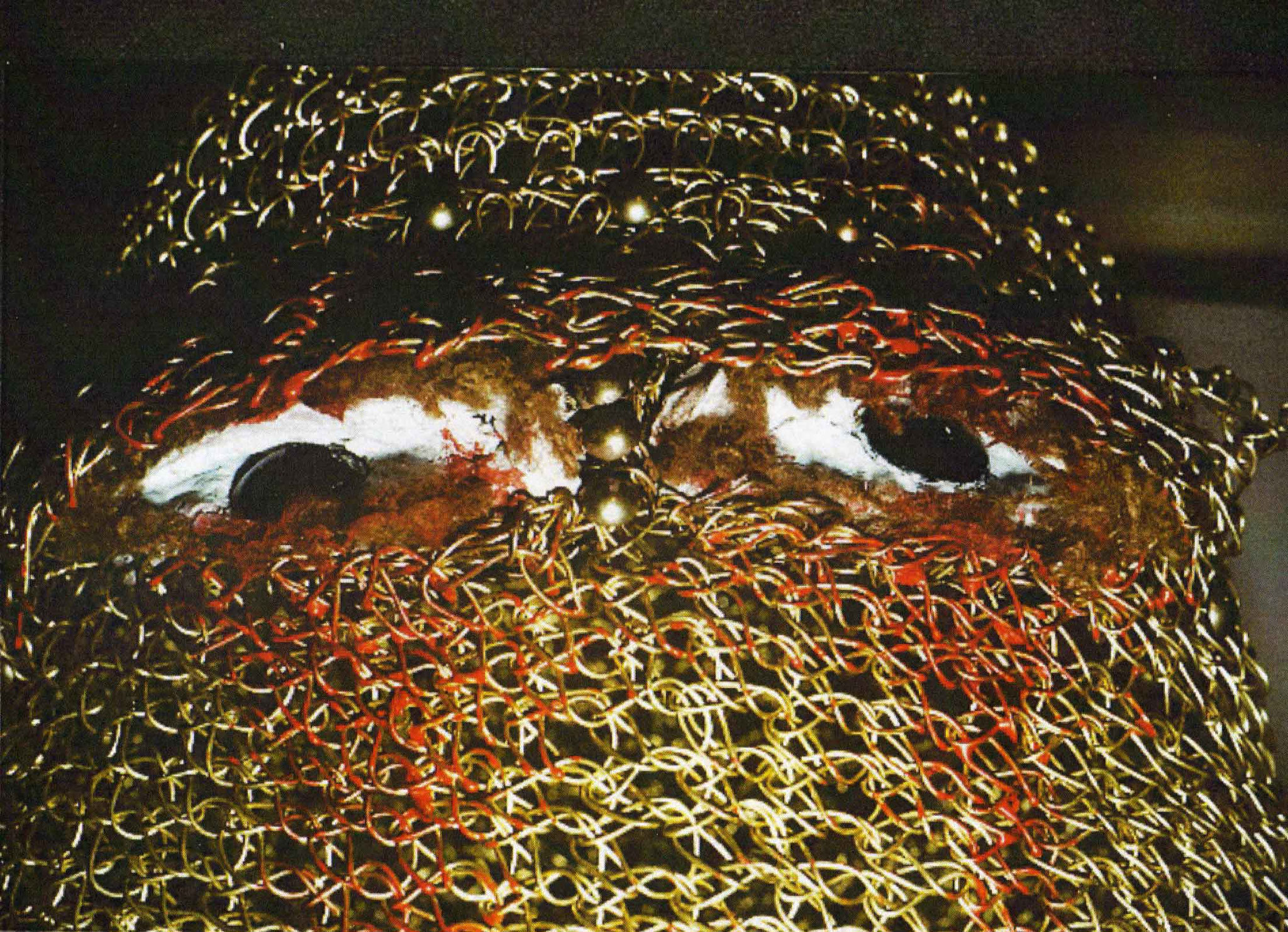 L' héritage - Site de Raymonde Arcier