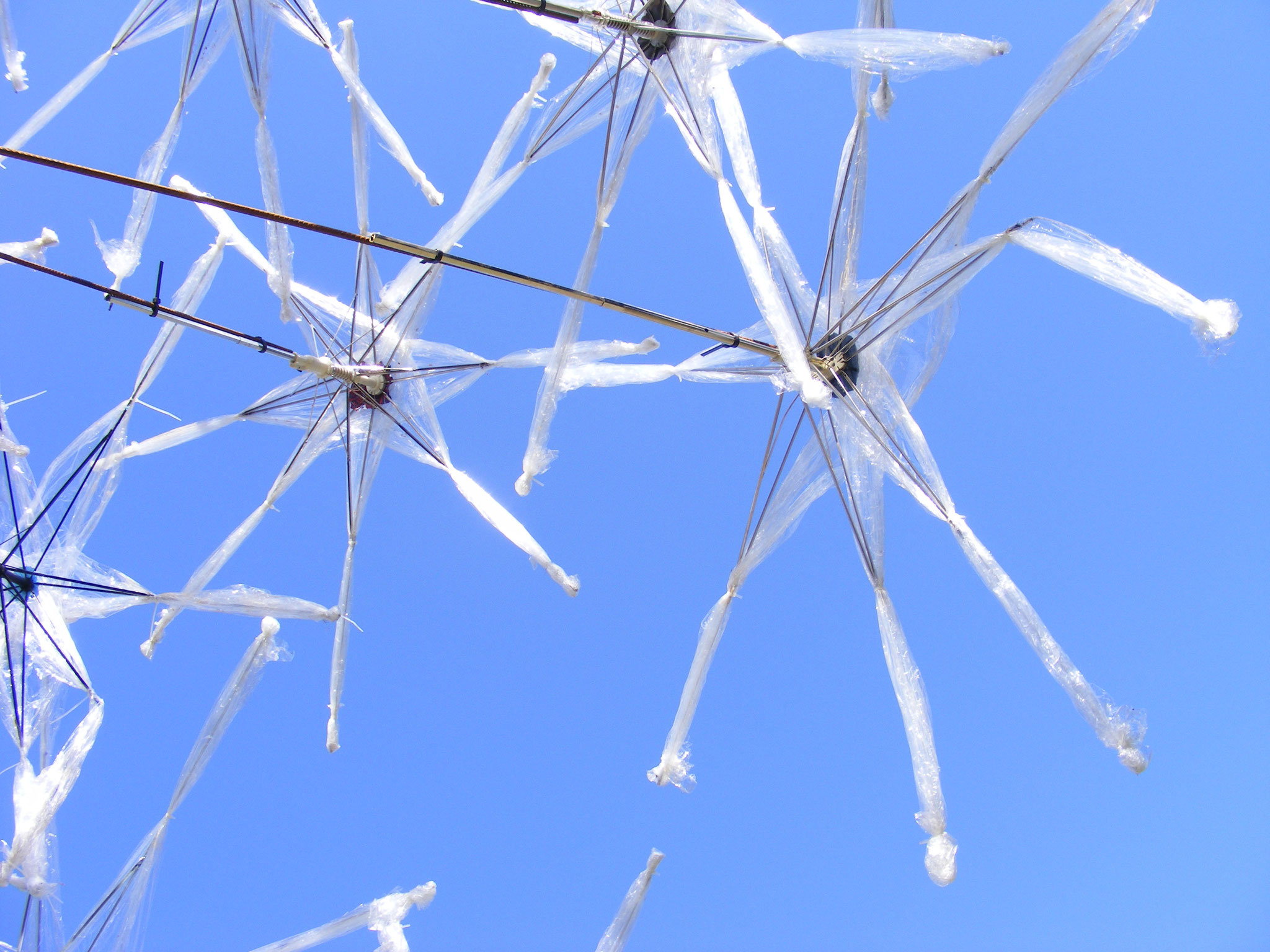 Bina-Art Kunst Cartoon Installation Raeume - bina-art Webseite!