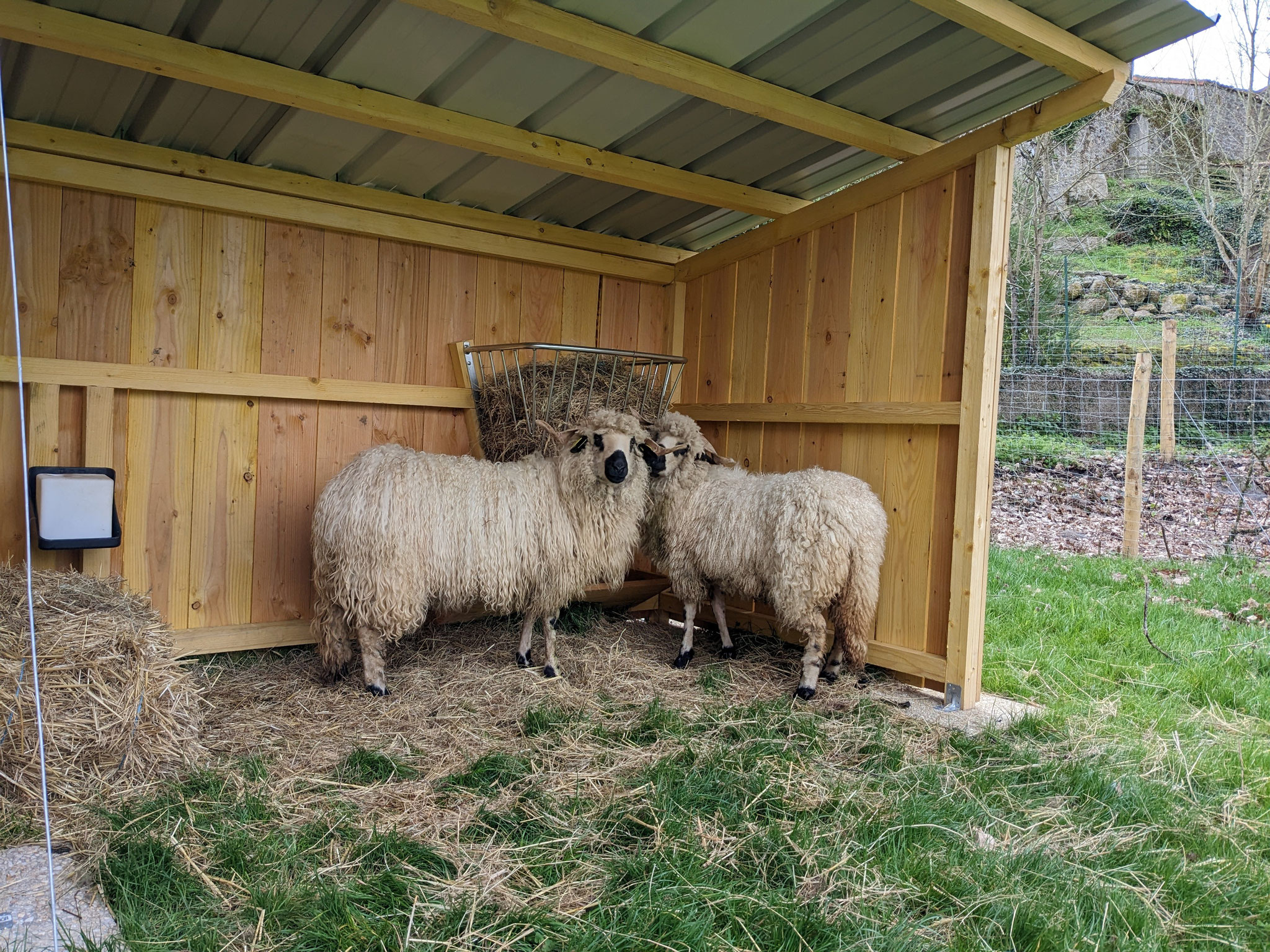 LES ABRIS pour les moutons - Des Moutons à l'Horizon