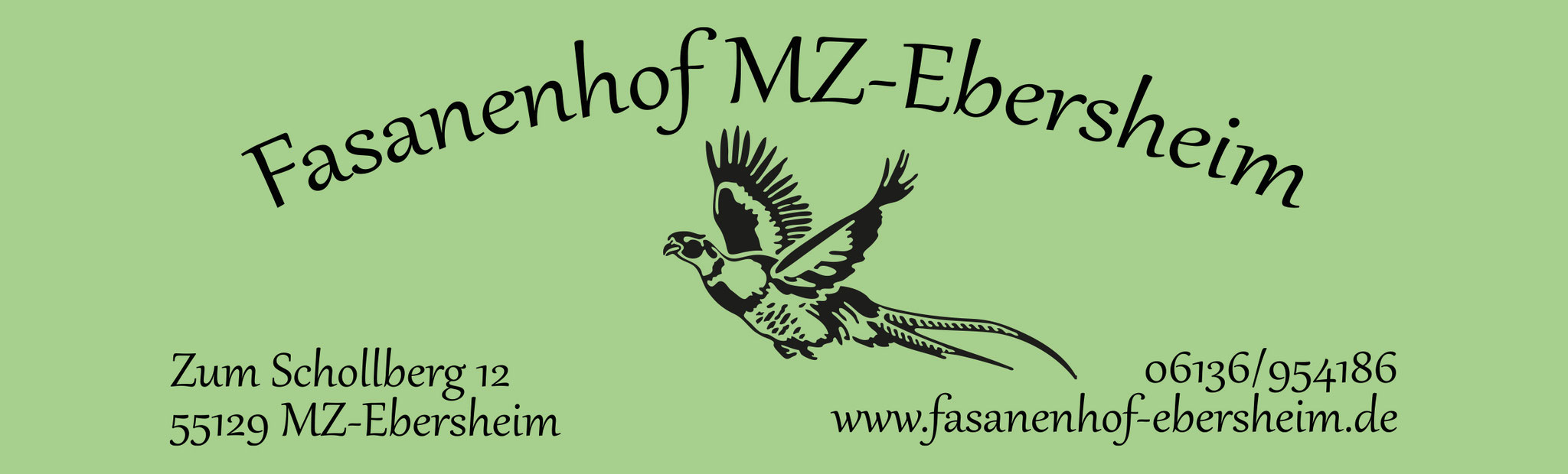 Fußball - TSV Mainz-Ebersheim 1897 e.V.