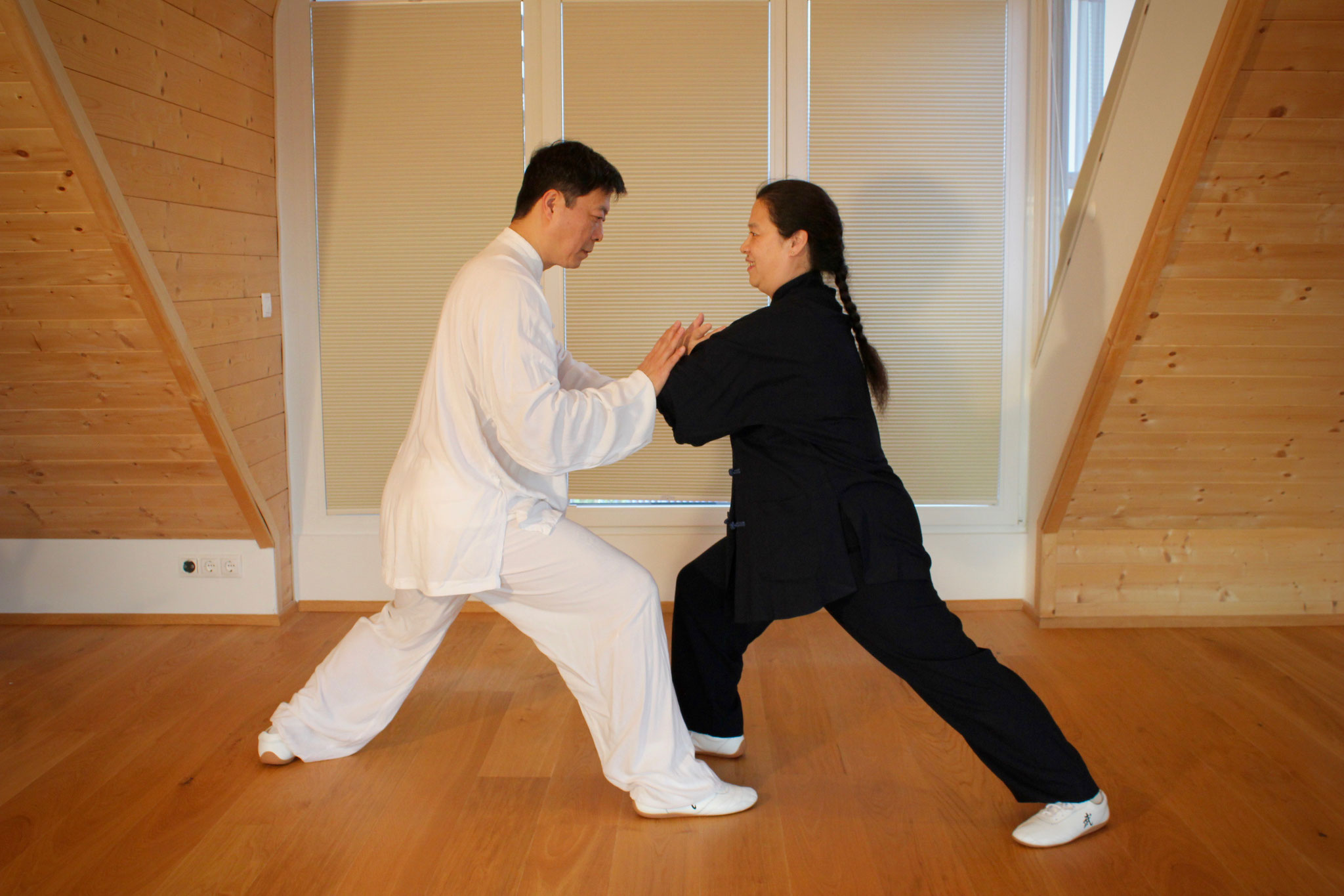 Tai Ji, Tai Chi Kurse in 1130 Wien Österreich - Studio Zhang