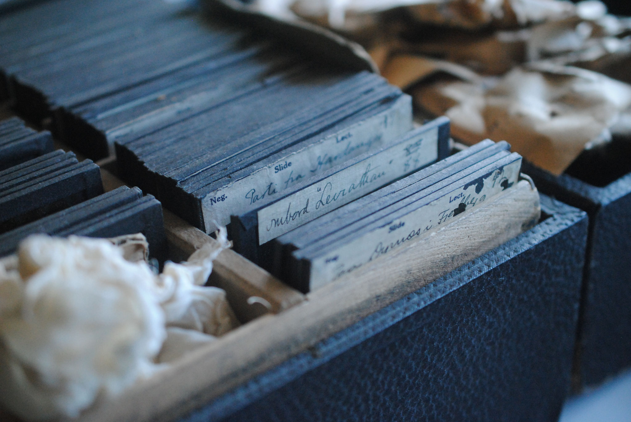 Hand Colored Lantern Slides - Hannah Holder - calligraphy, drawing ...