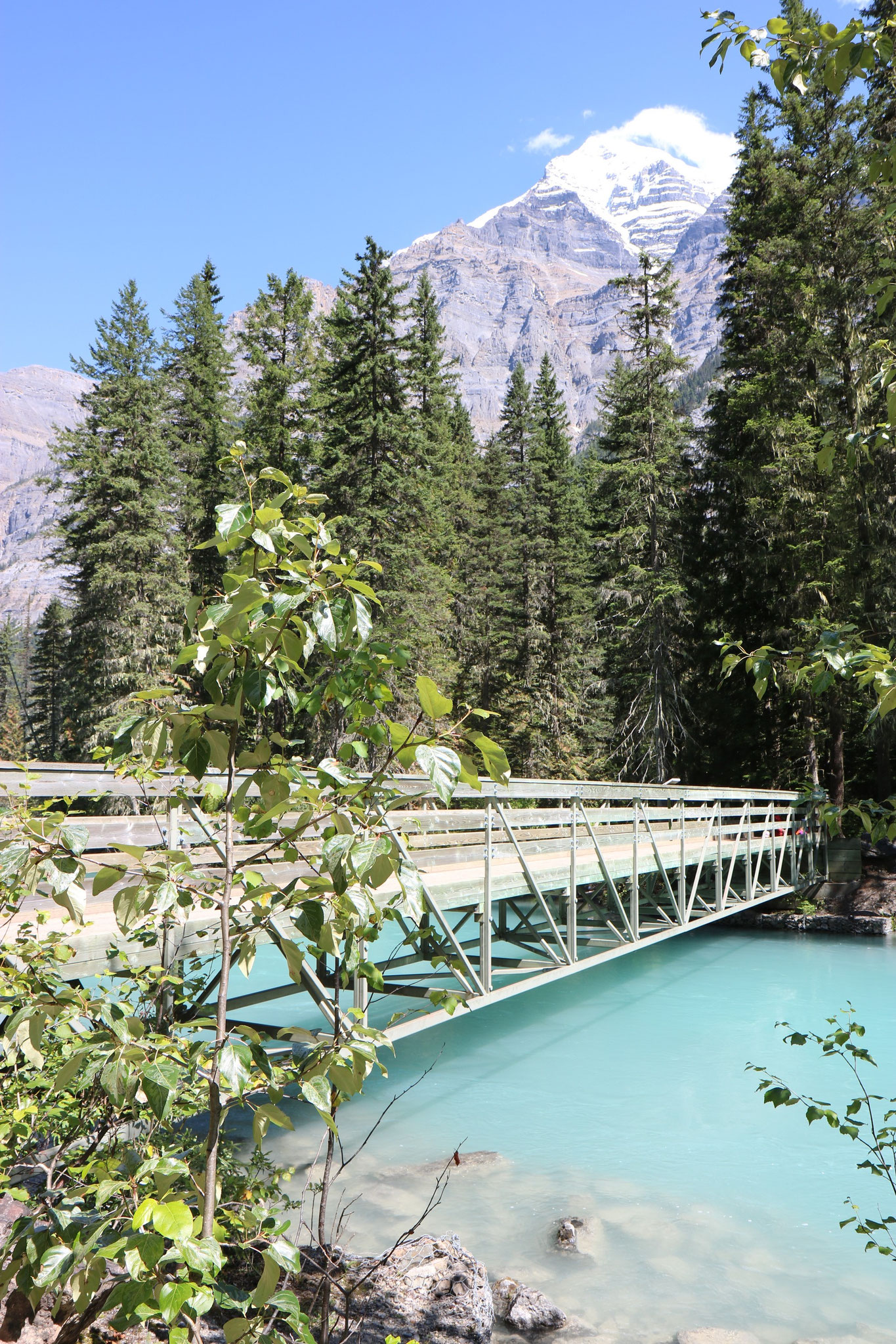 Le Berg Lake Trail - Voyages et Sciences Naturelles