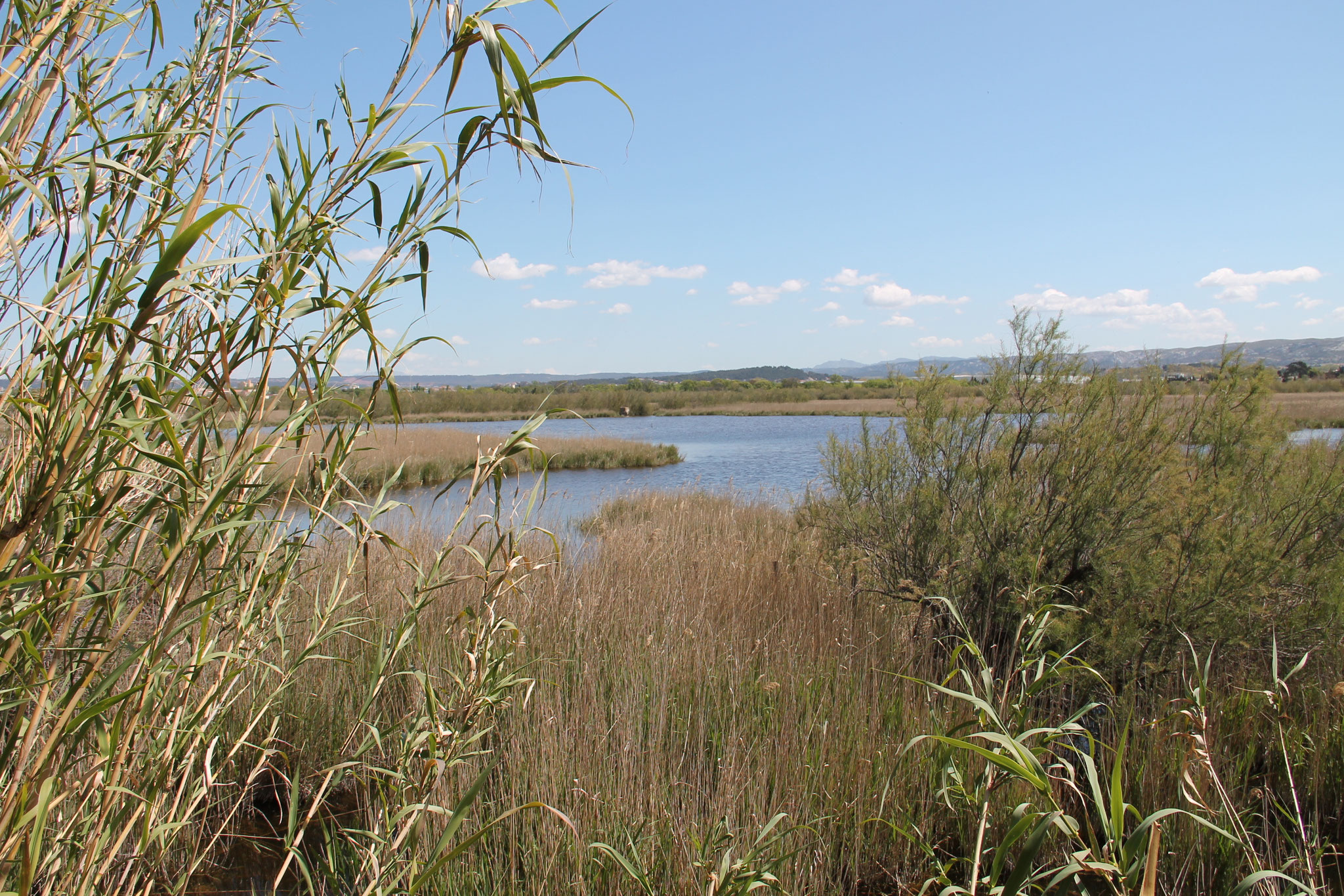 Bienvenue à Marignane ! - Site de toutourismefrance