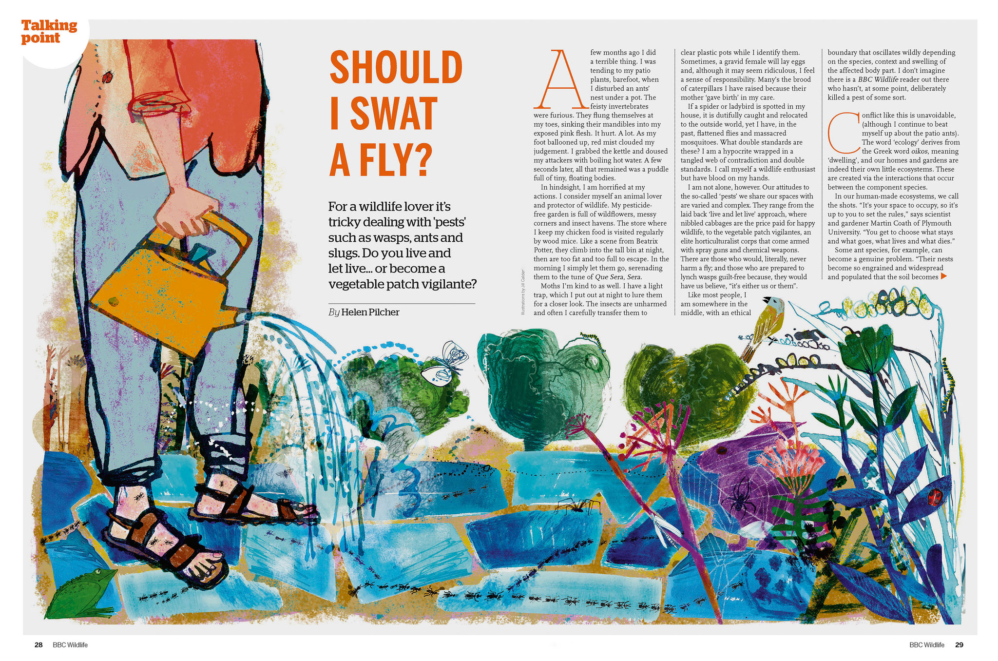 General Illustration - Jill Calder Illustration