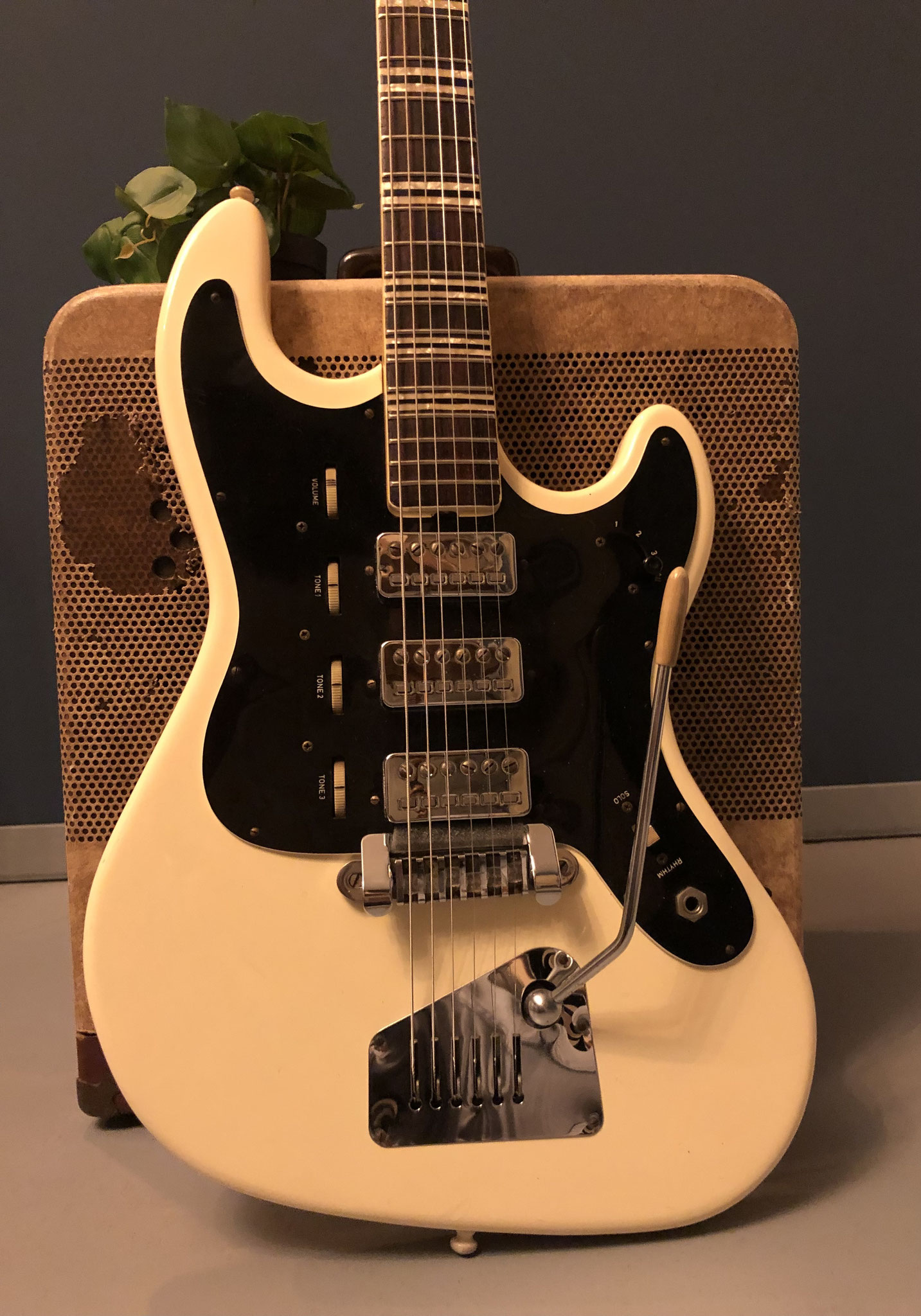 Hofner Galaxy 175 (early 60s) - G.R. Harrison, singer songwriter uit ...