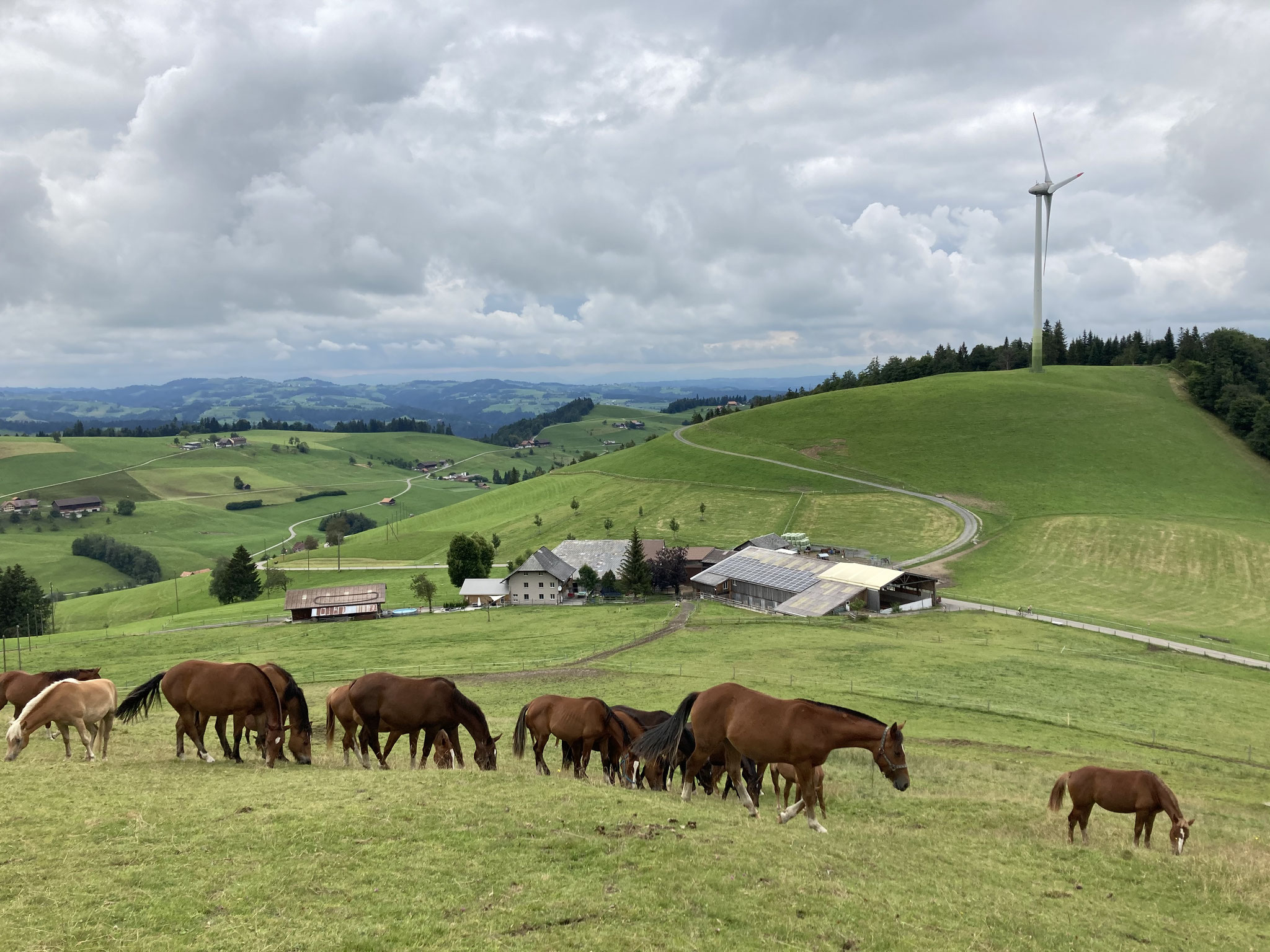 Unsere Fohlenweide - Lutersarni.ch