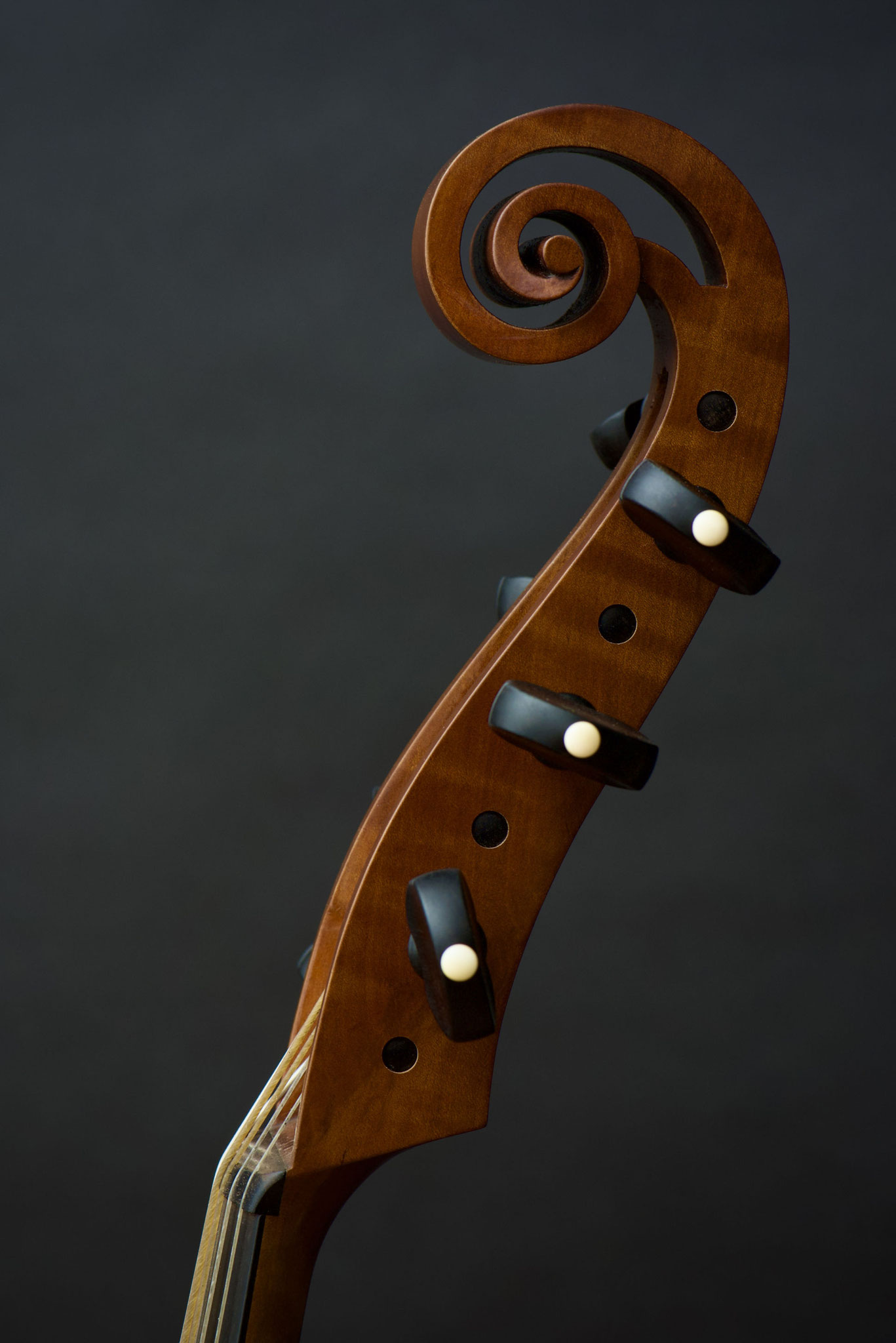 small 7-string bass viol - VIOLWORKS