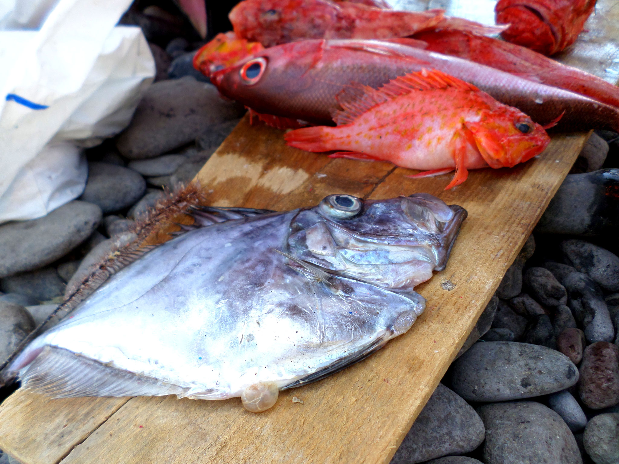 Cape Verdean Cuisine - Website Hennies Kitchen!