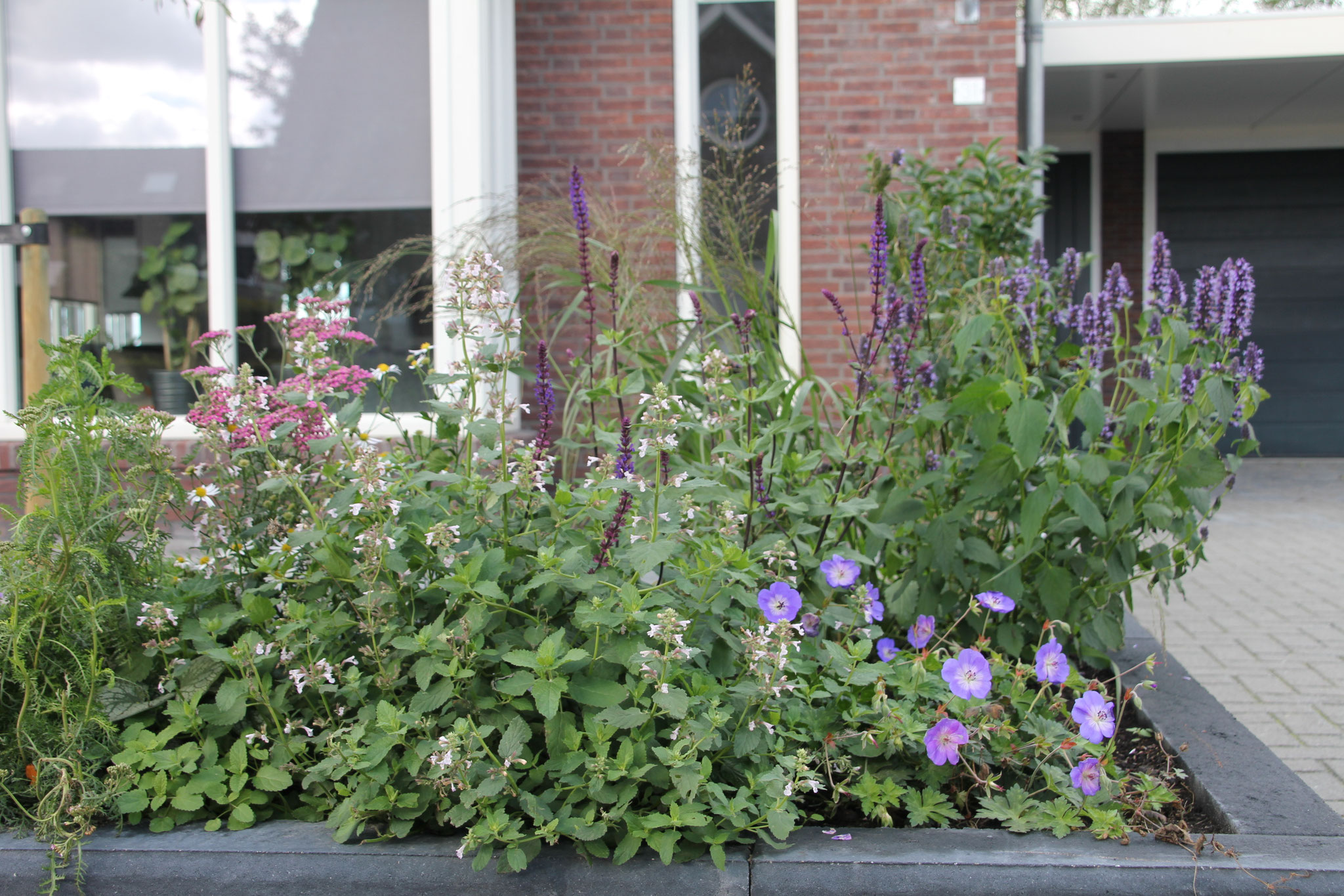 Smalle voortuin-border - Buro Walinga, ontwerp van tuin en landschap