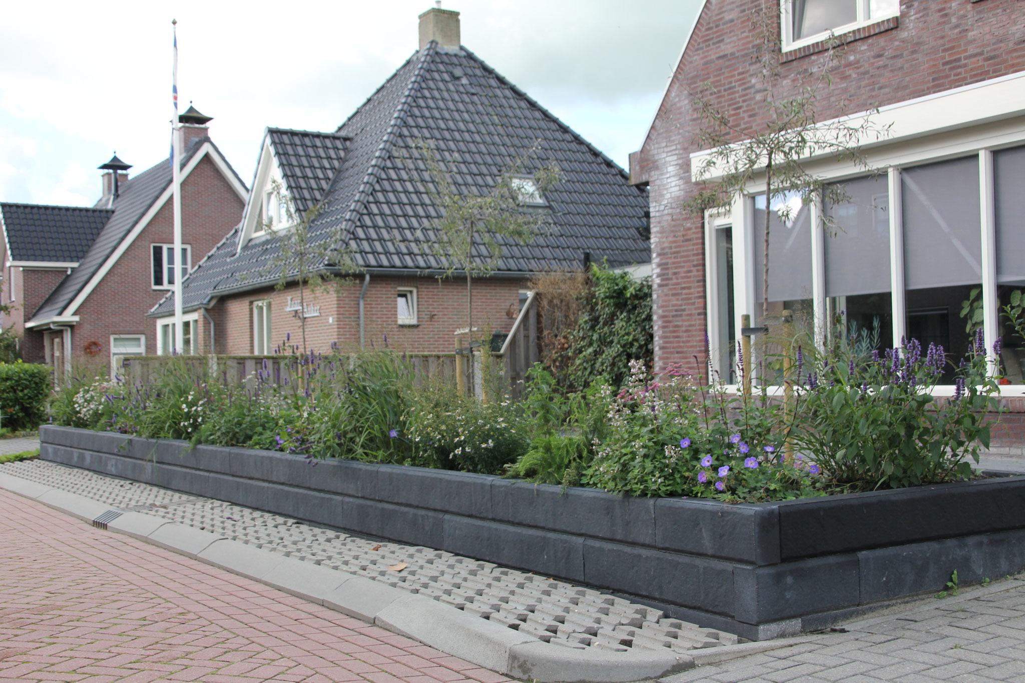 Smalle voortuin-border - Buro Walinga, ontwerp van tuin en landschap