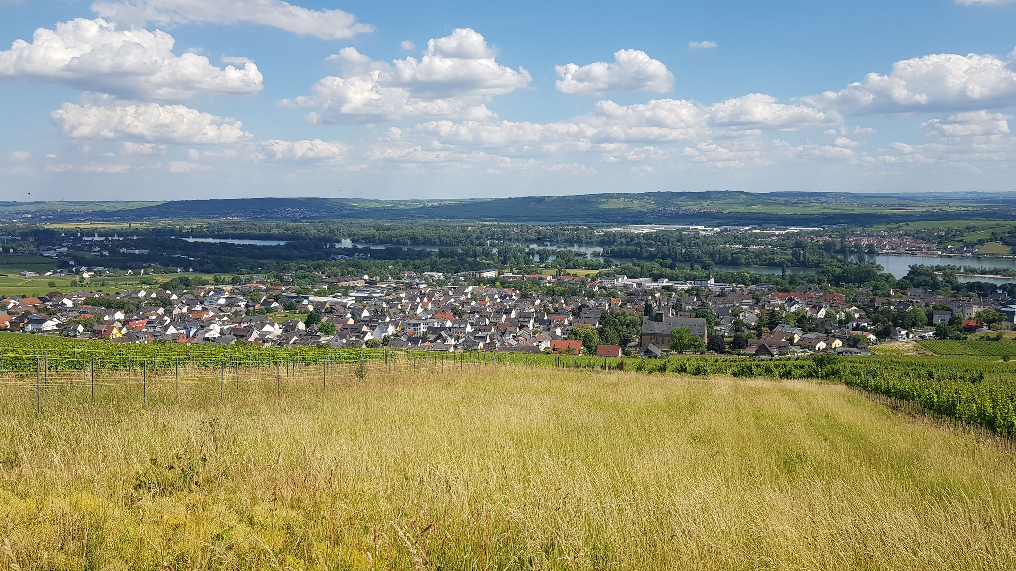 TSG aktuell - TSG Alten-Buseck 1901 e.V.