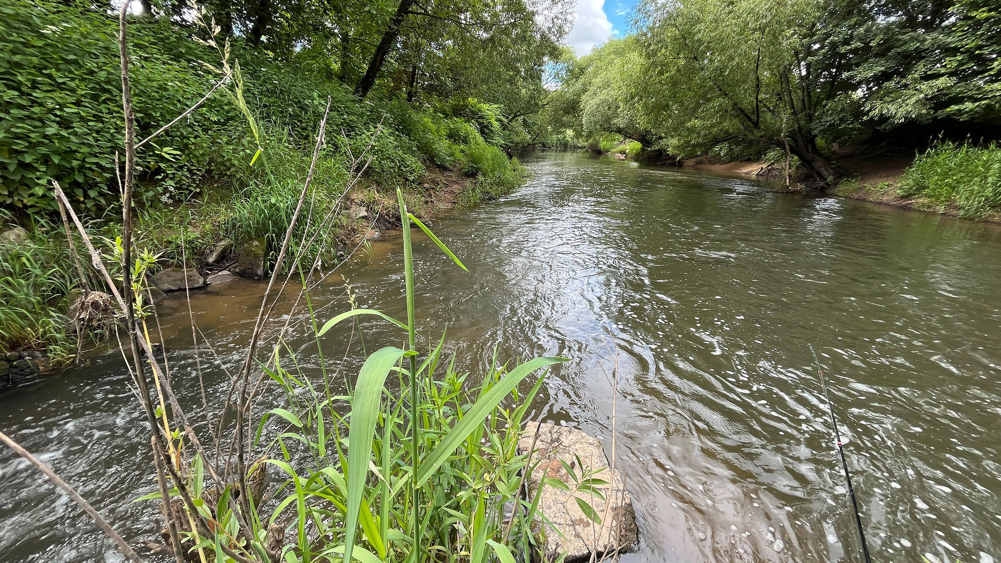 Der schönste Fluss in unserer Heimat - ig-kinzig