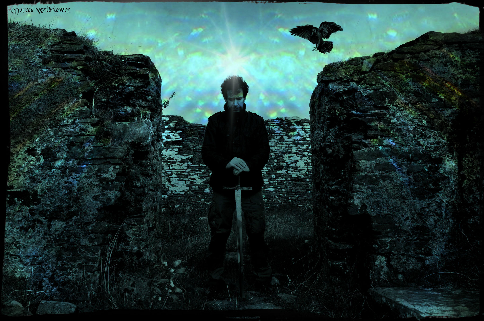 Photos ~ Rex Artorius - WildflowerMonaGraphics&Photography&Hidden ...