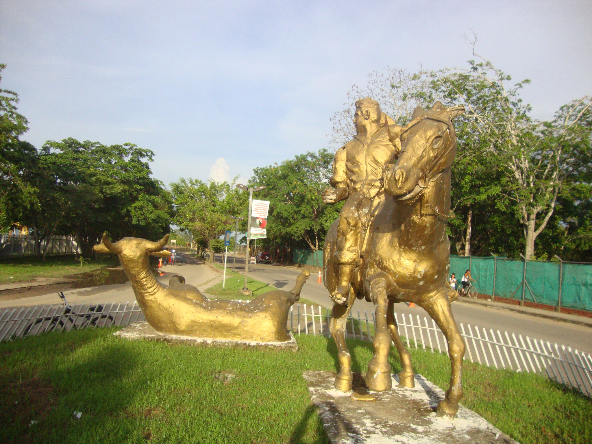 ARAUCA DEPARTAMENTO - tame