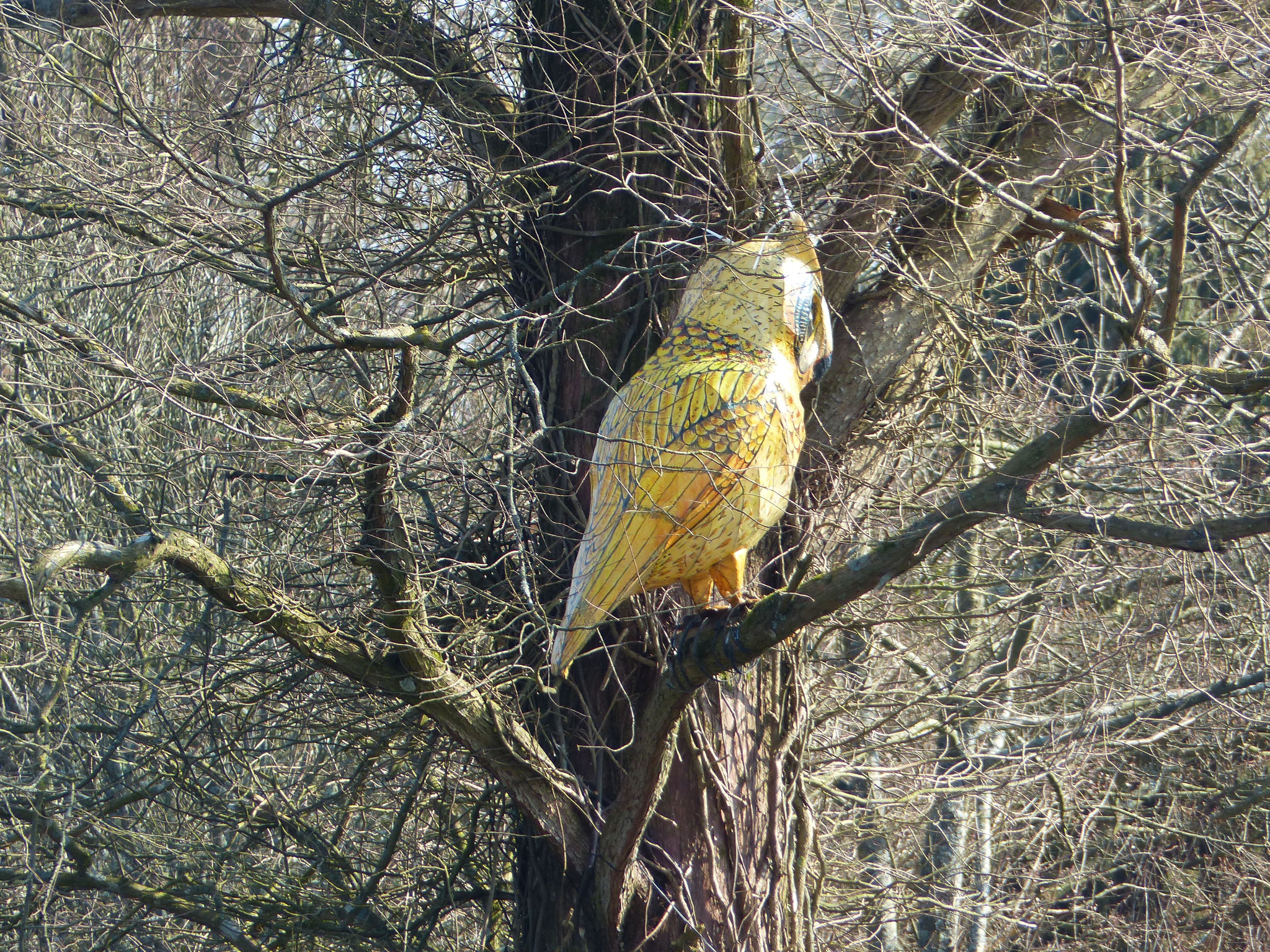 Bird - Photography by Nigel Cameron