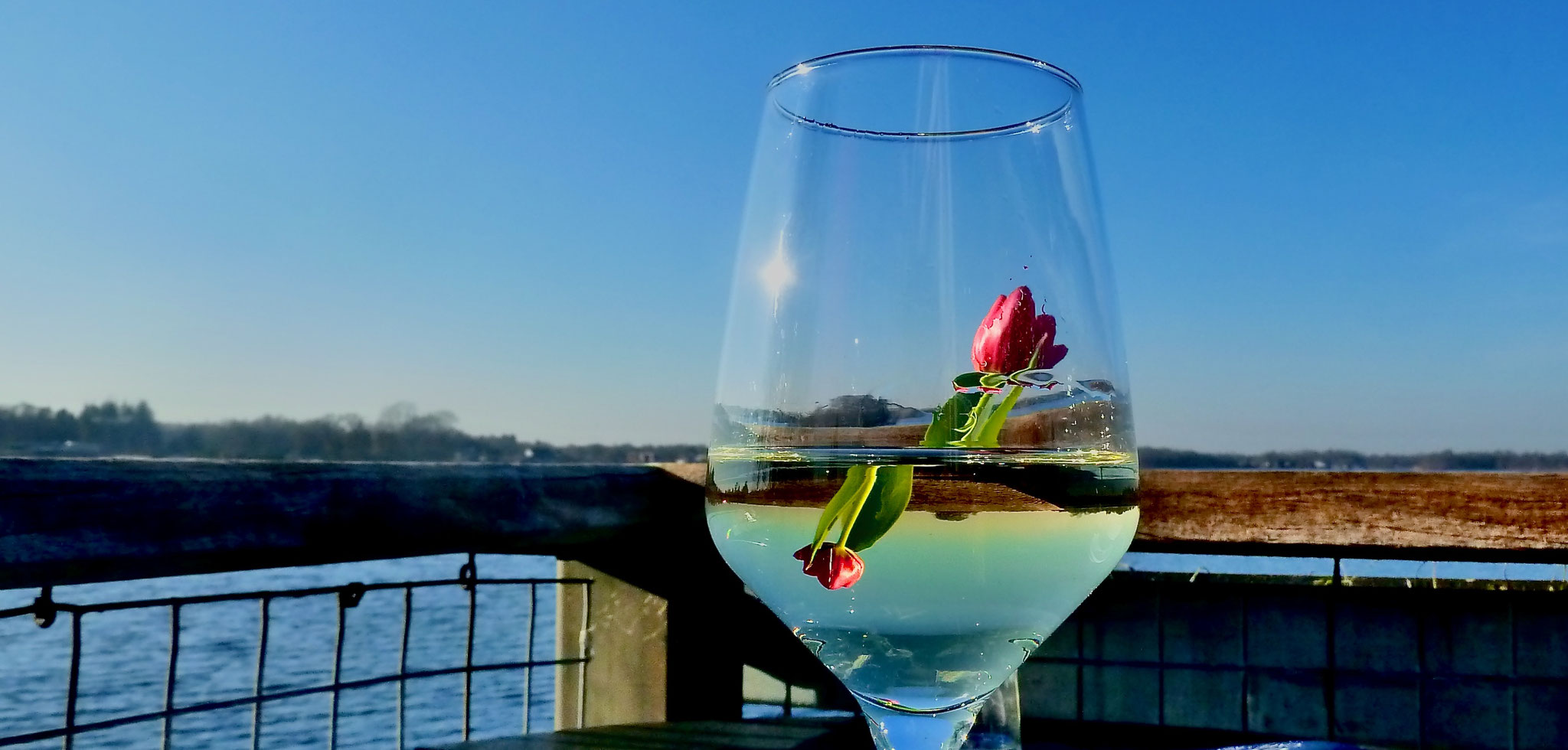 Stephanie Oosting - Fotoclub Beeldspraak