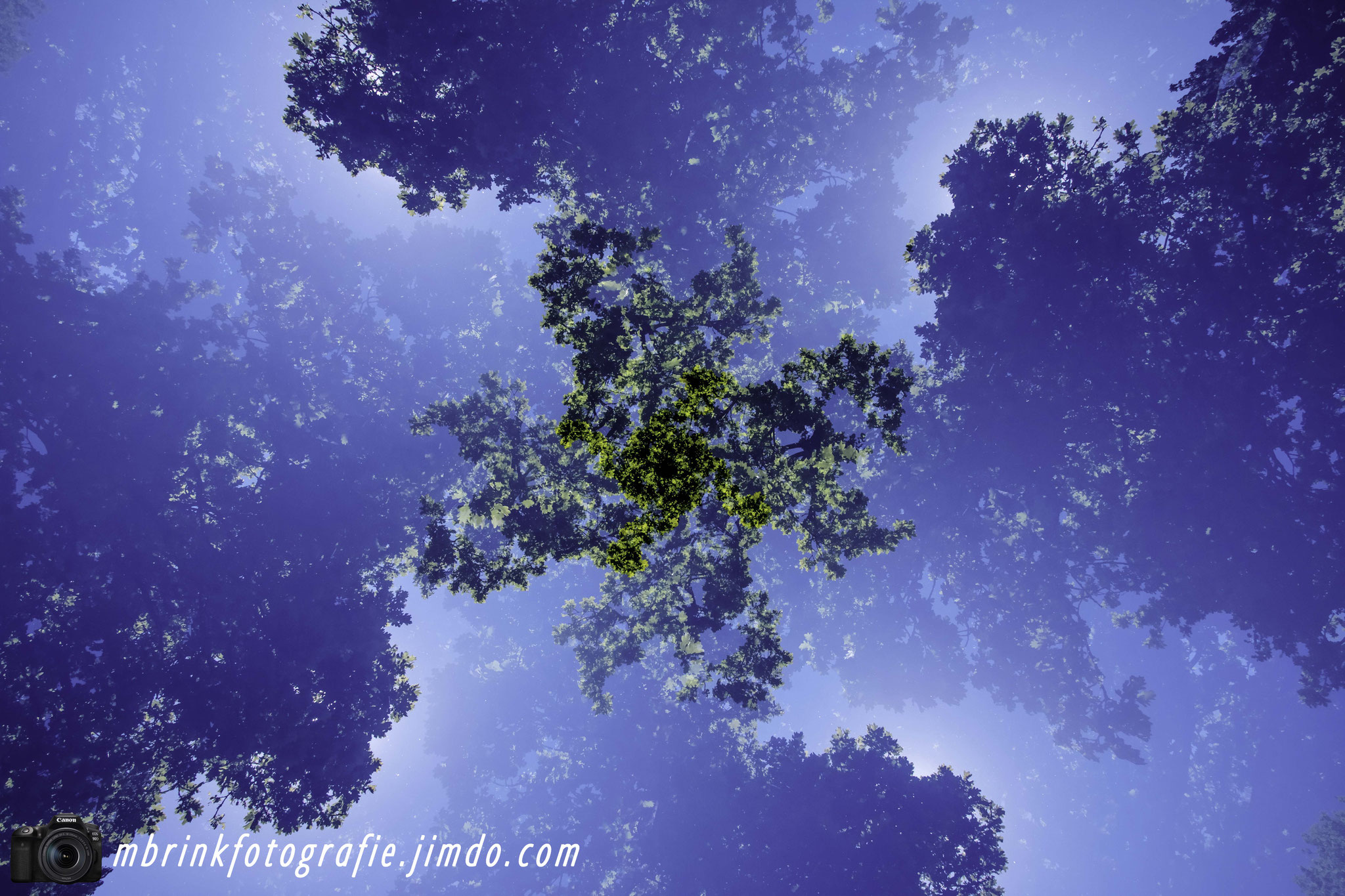 Caleidoscoop - MBrink Fotografie