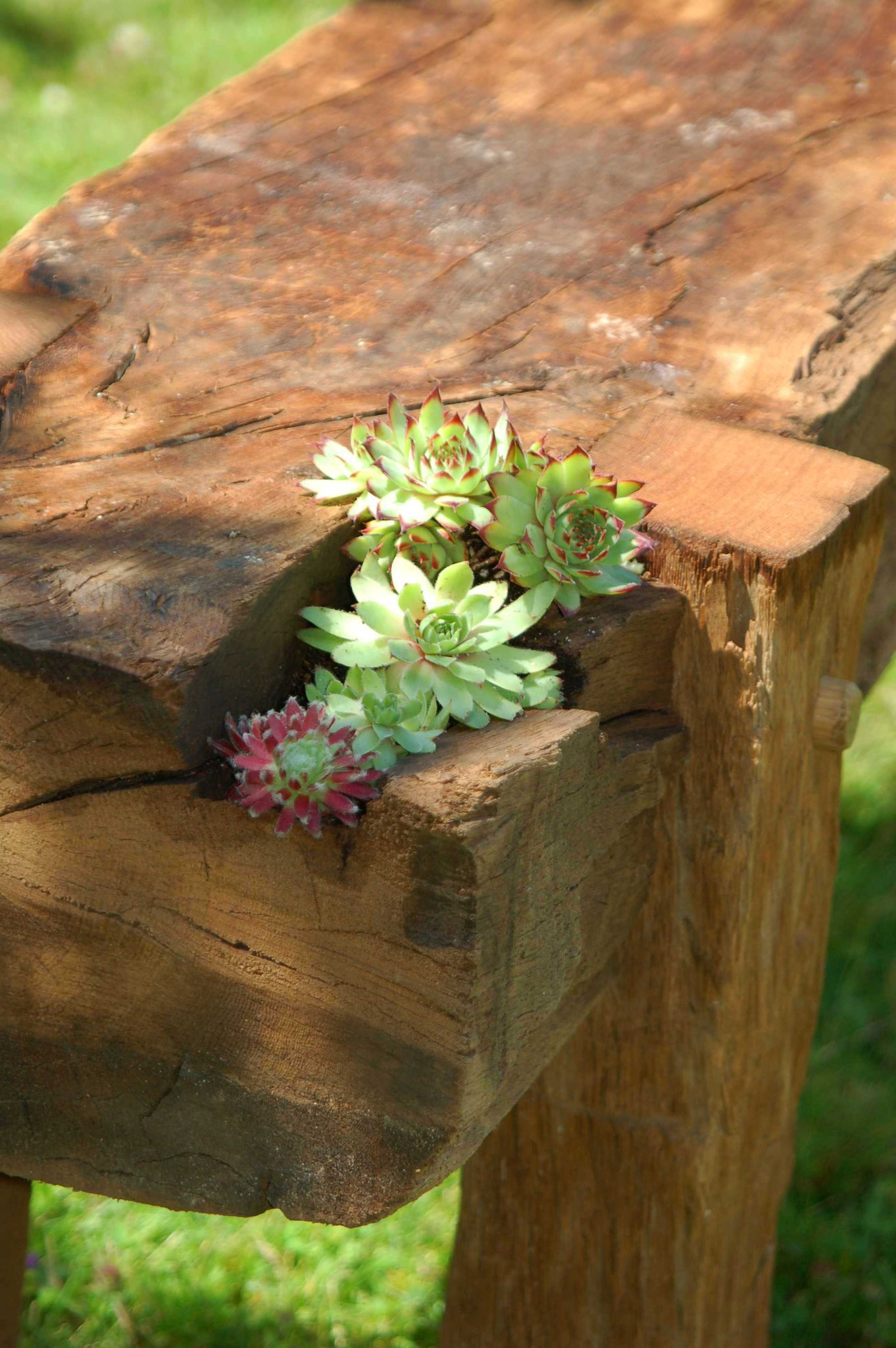 Gartenobjekte - jenspfeiffer