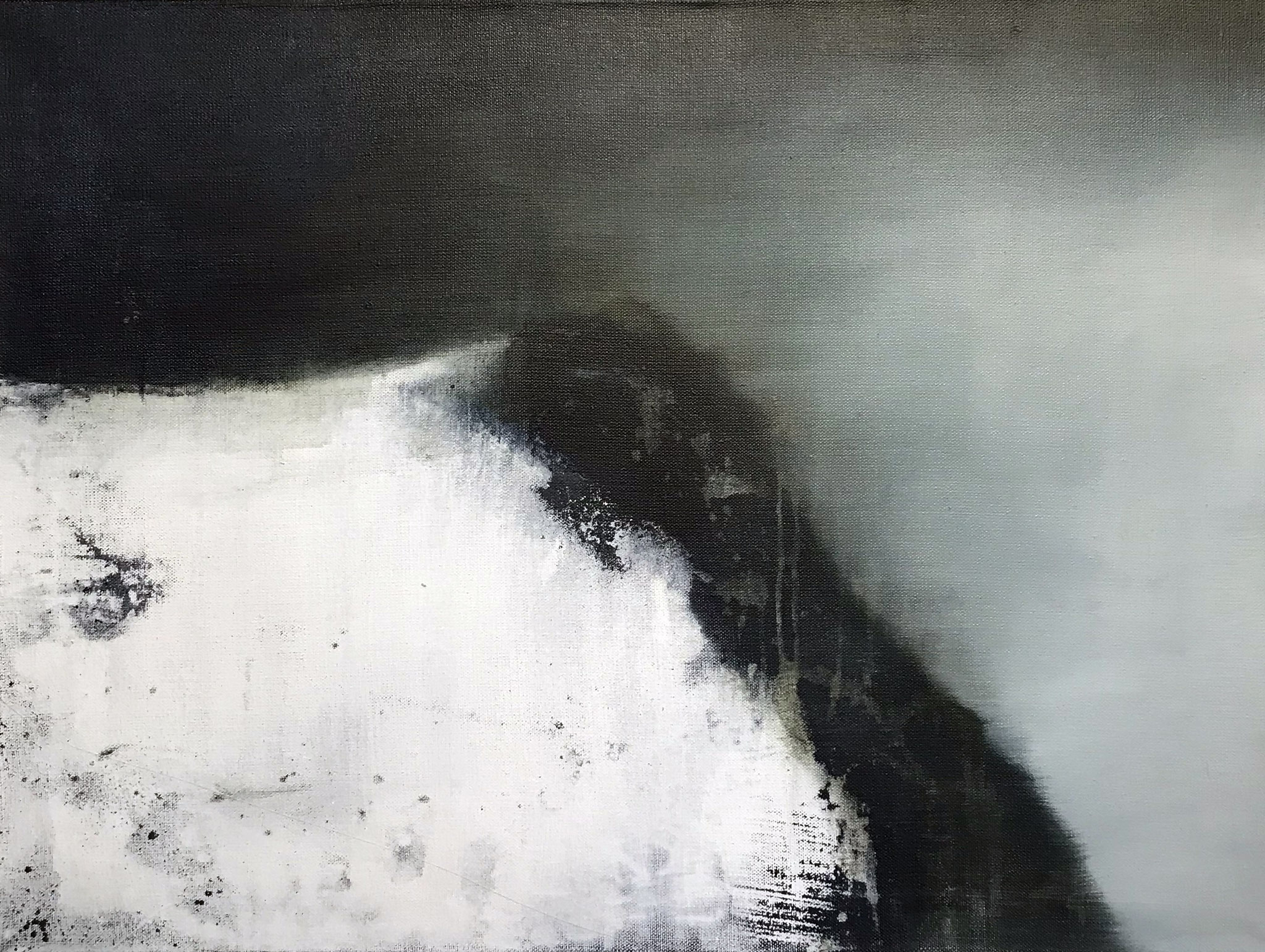 ROGER WARDIN - GALERIE ANJA KNOESS