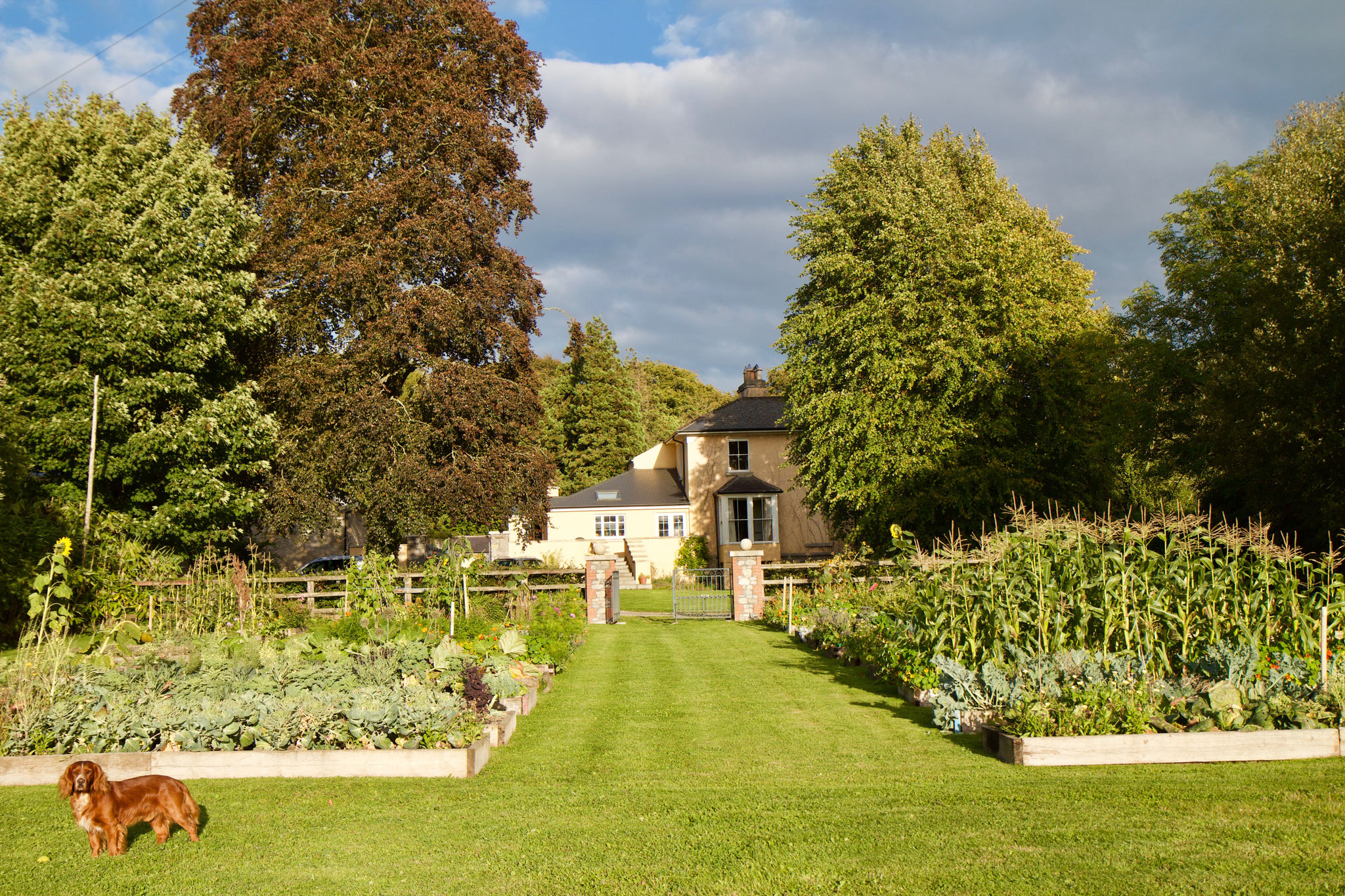 The Stone Barn - Hotwell House
