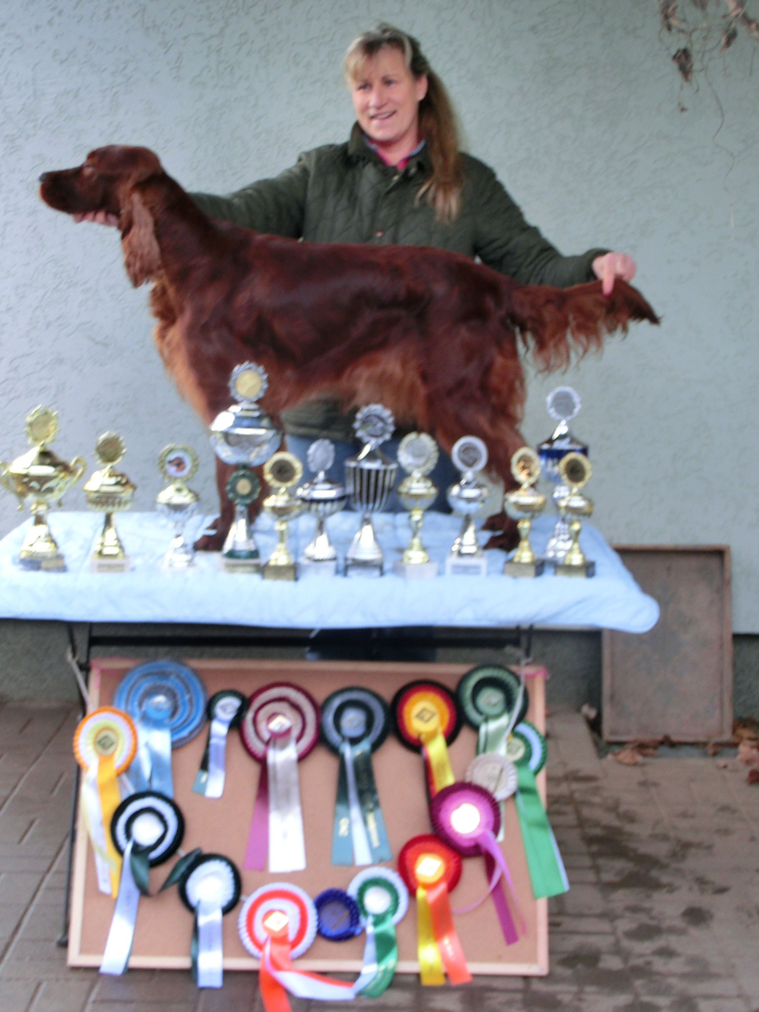 So können Sie uns kontaktieren: - Irish-Red-Setter VDH/FCI "Fearless ...