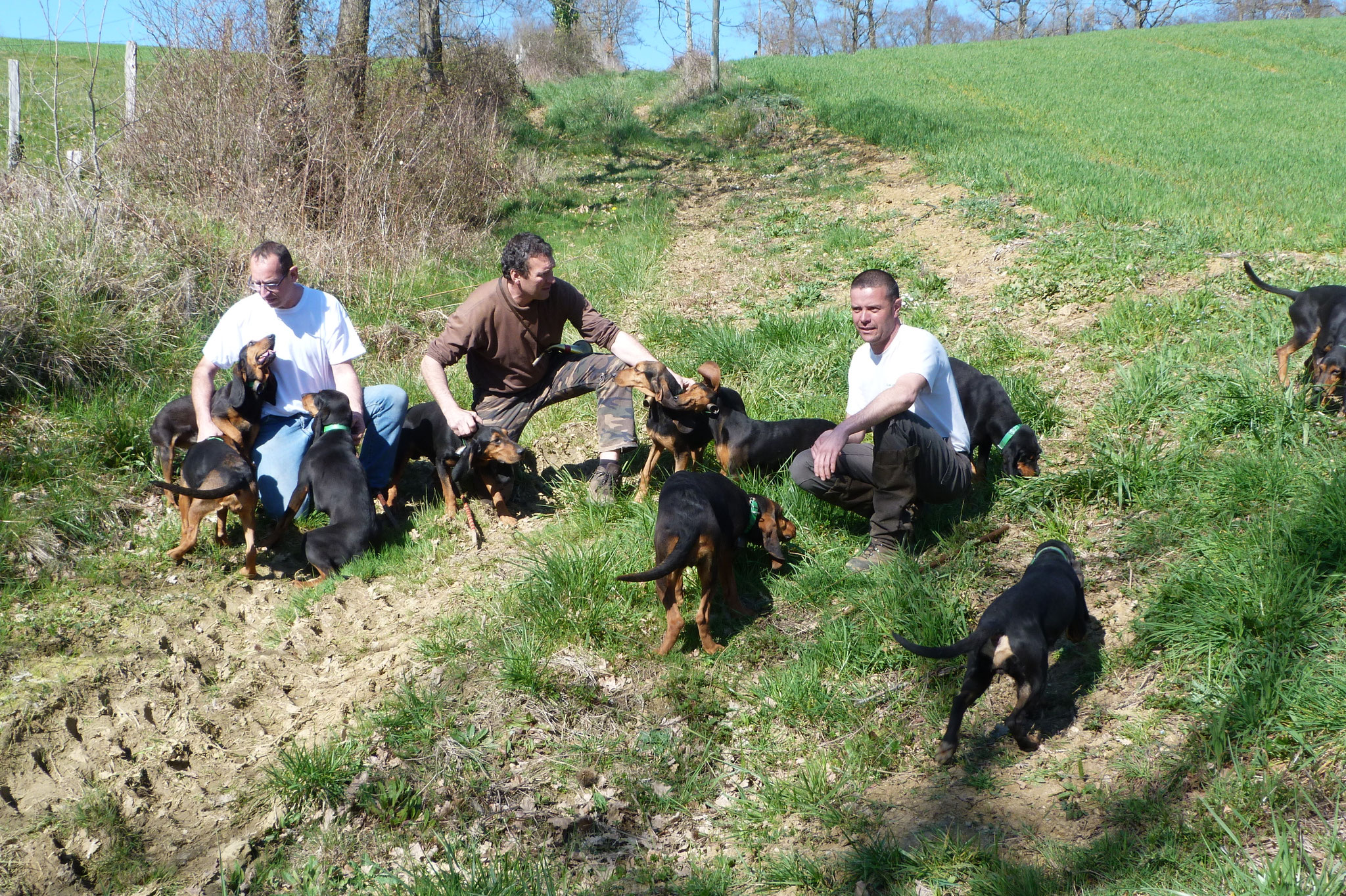 Accueil - Site de votre AFACCC 81