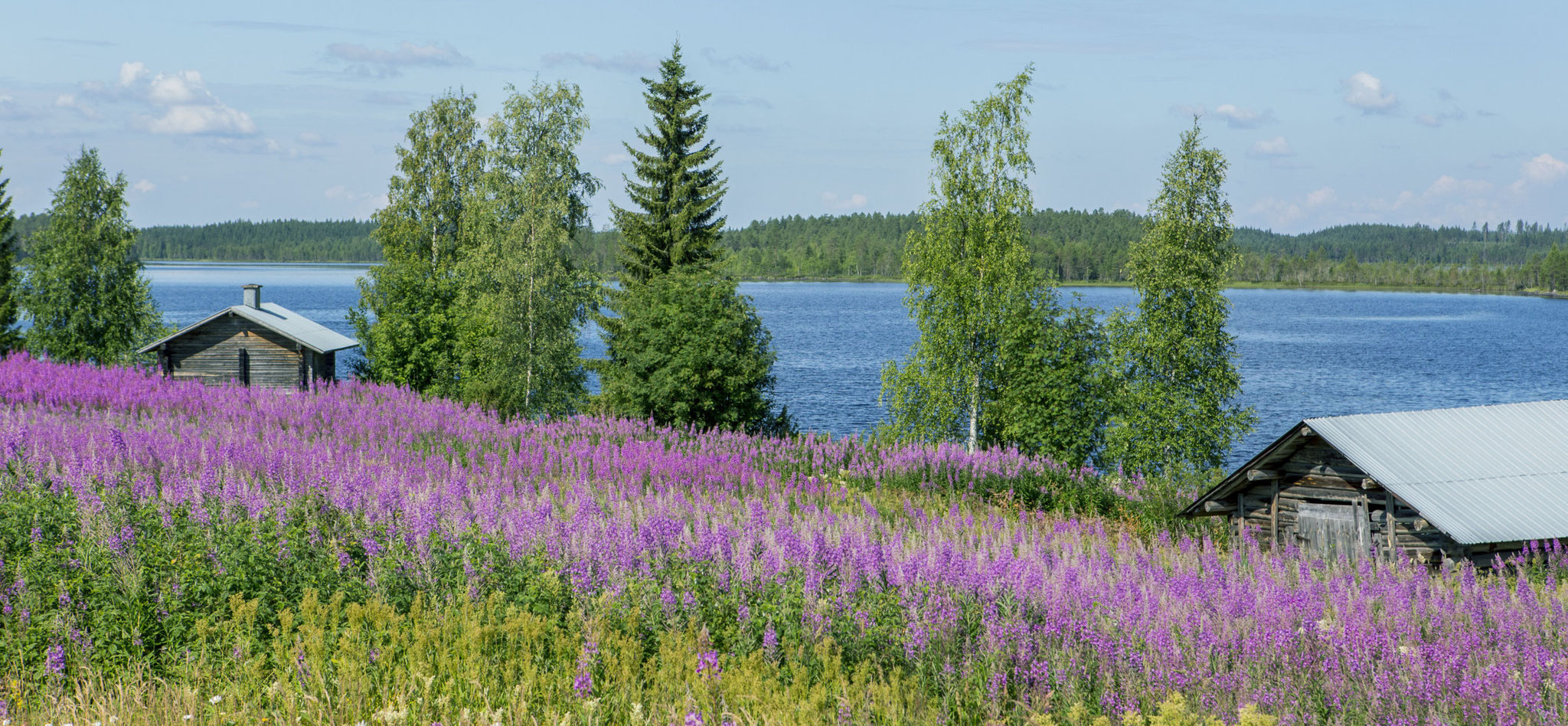 Sustainable tourism in Wild Taiga, Finland - Europe's Best Destinations