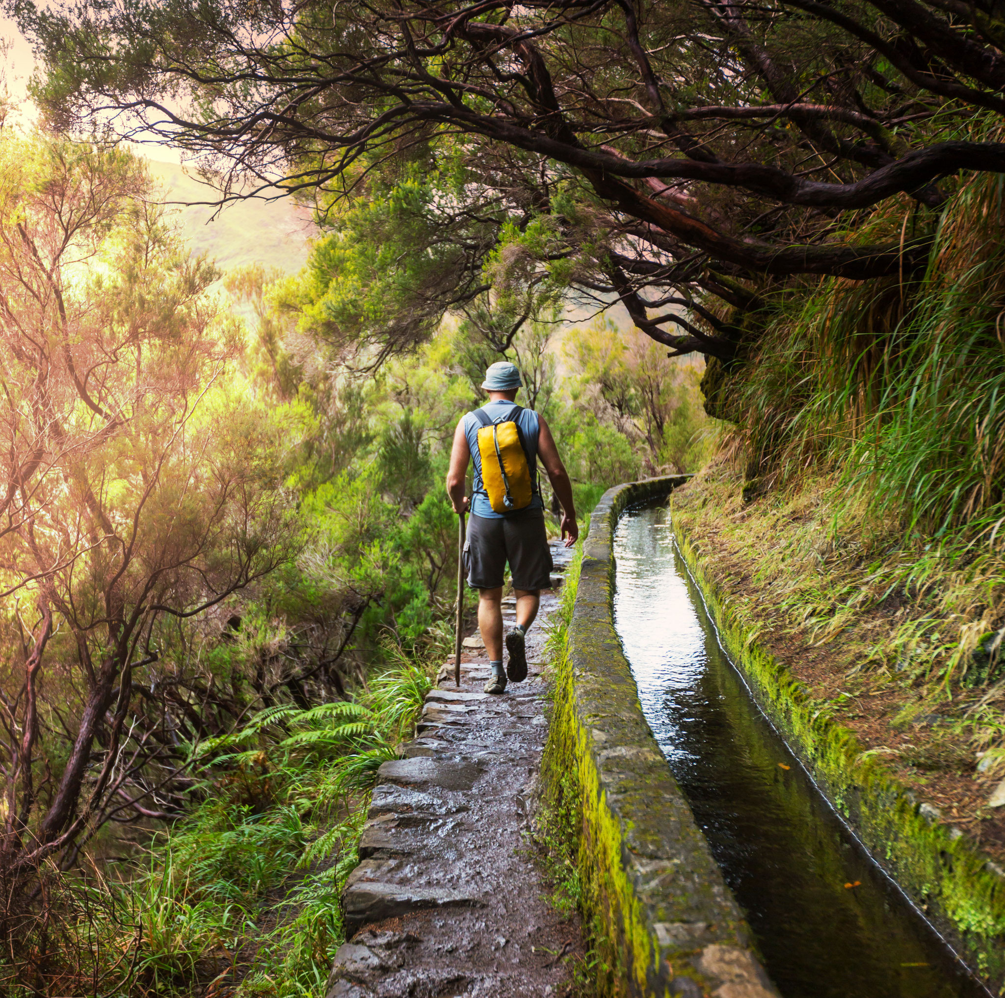 Best Pictures of Madeira - Europe's Best Destinations
