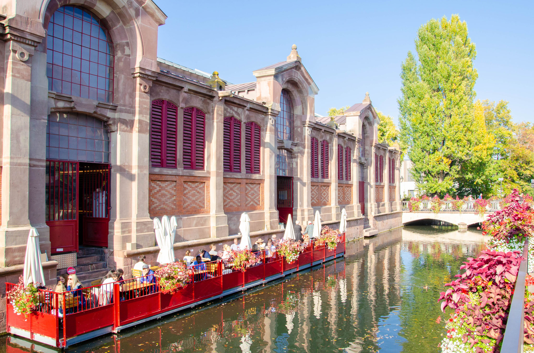 Colmar indoor market - Europe's Best Destinations