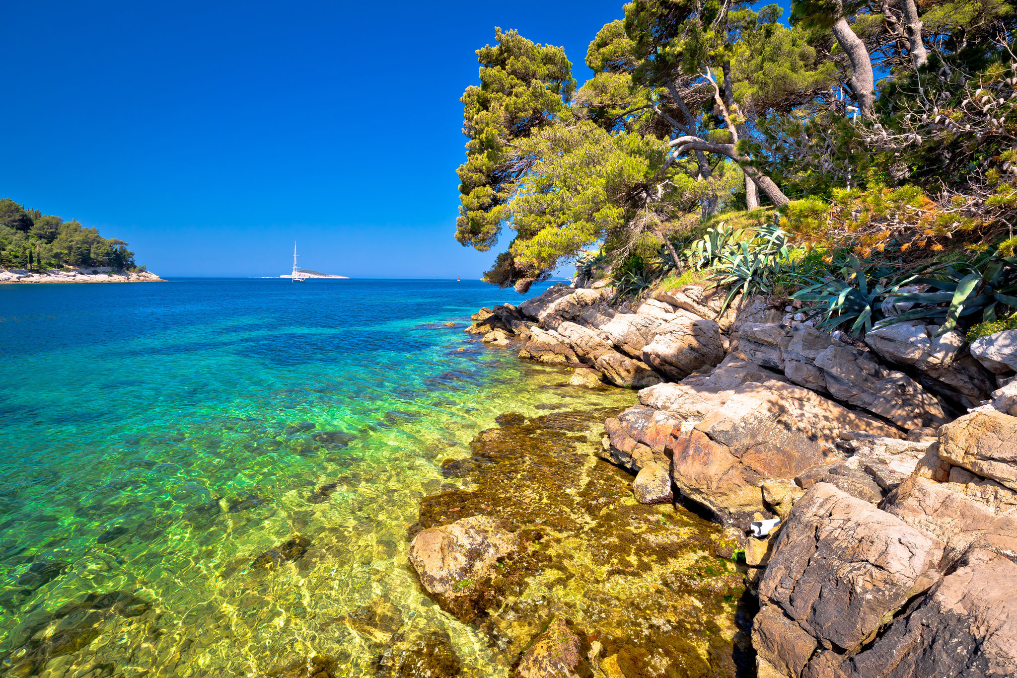 Tourism in Cavtat, Croatia - Europe's Best Destinations